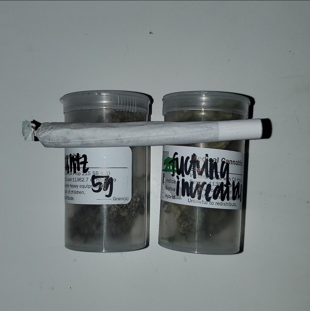 Have a good Monday!! | Scrolller