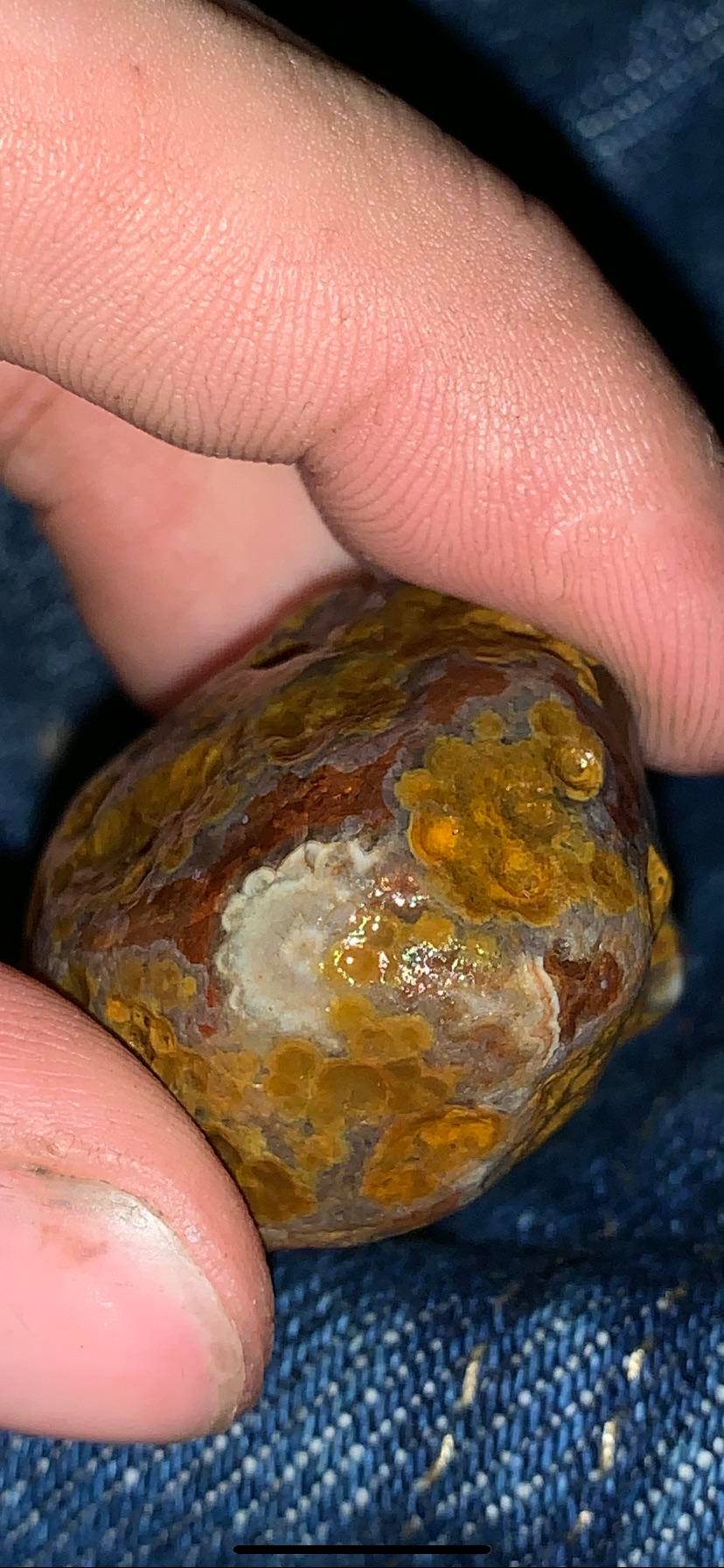 Have you ever seen an agate with a flower in it? | Scrolller