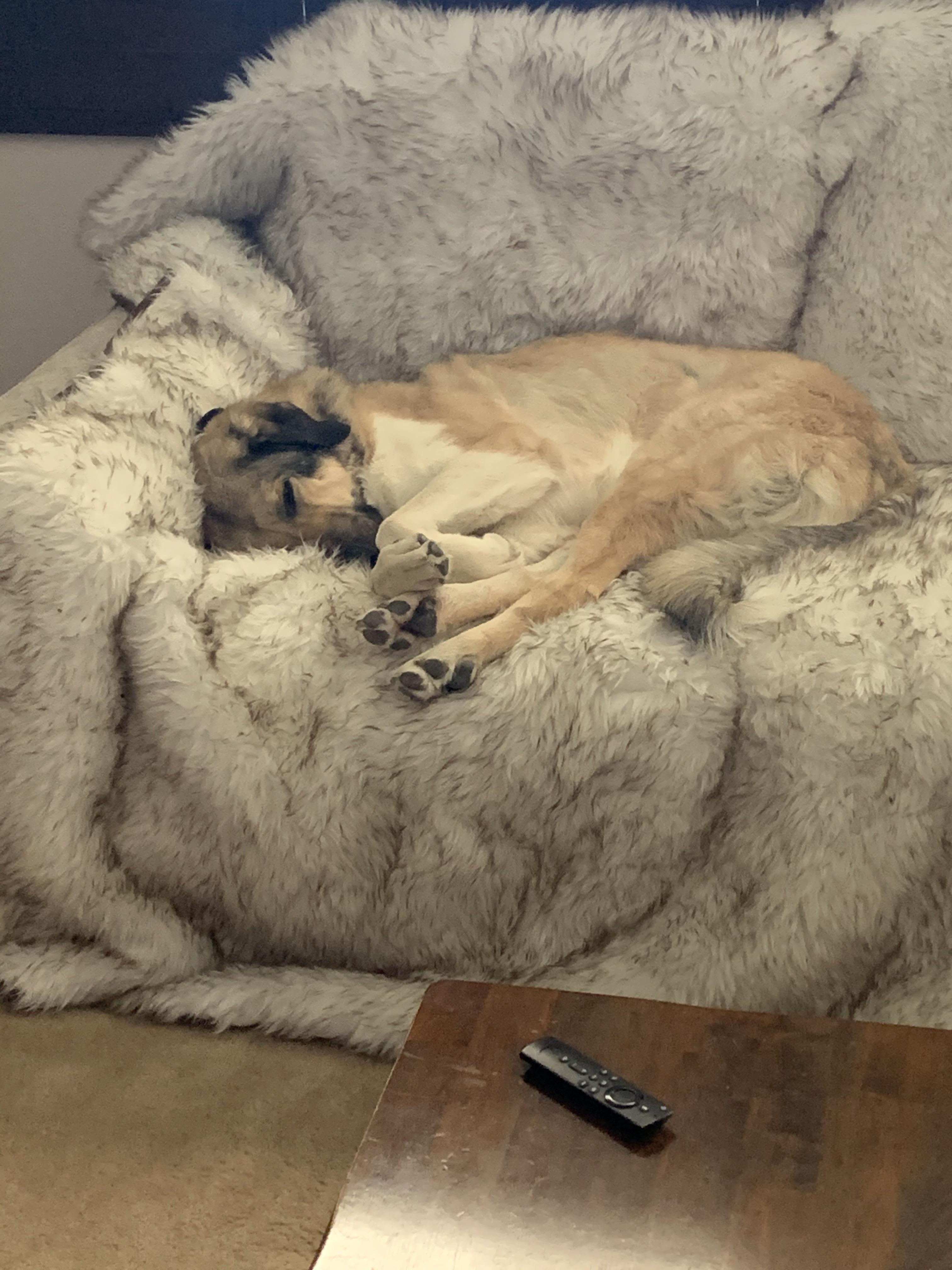 He be chillin | Scrolller