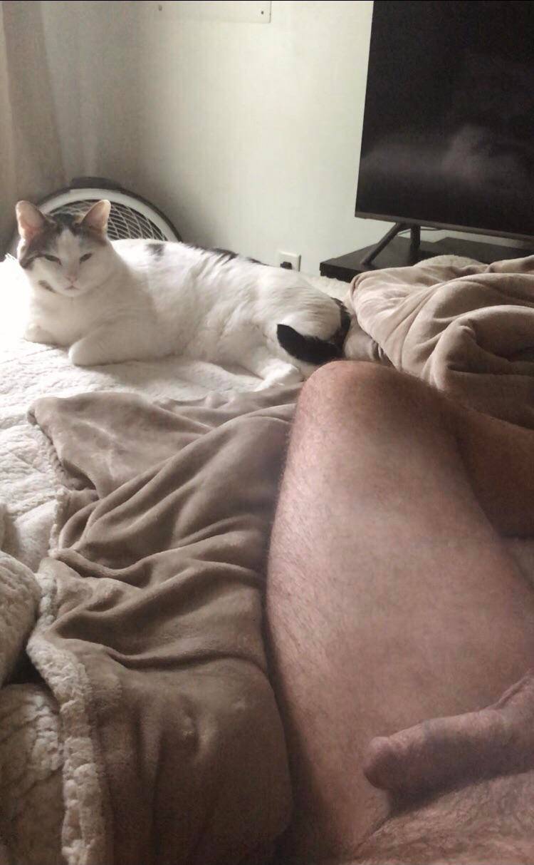 He clearly doesn’t approve of my occupational preferences | Scrolller