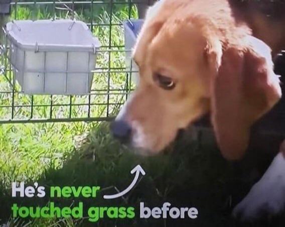 He finally touched grass | Scrolller