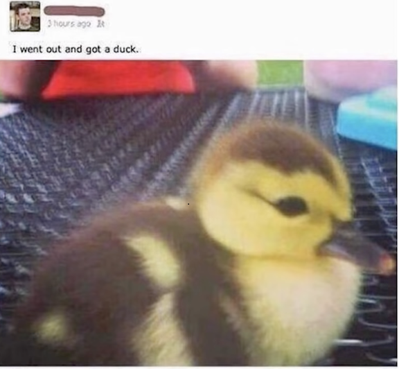 He got a duck :) | Scrolller