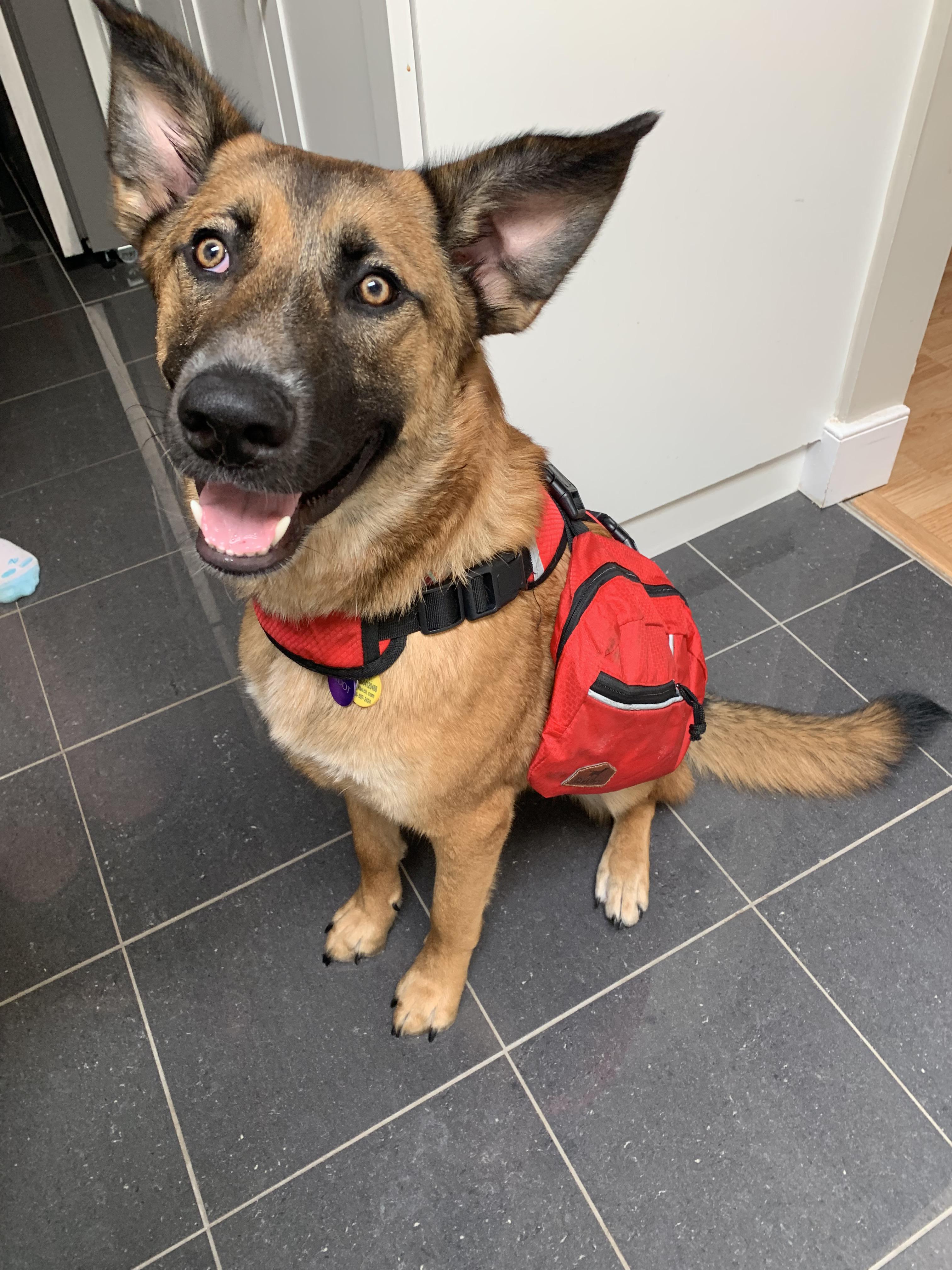 He is Groot. | Scrolller