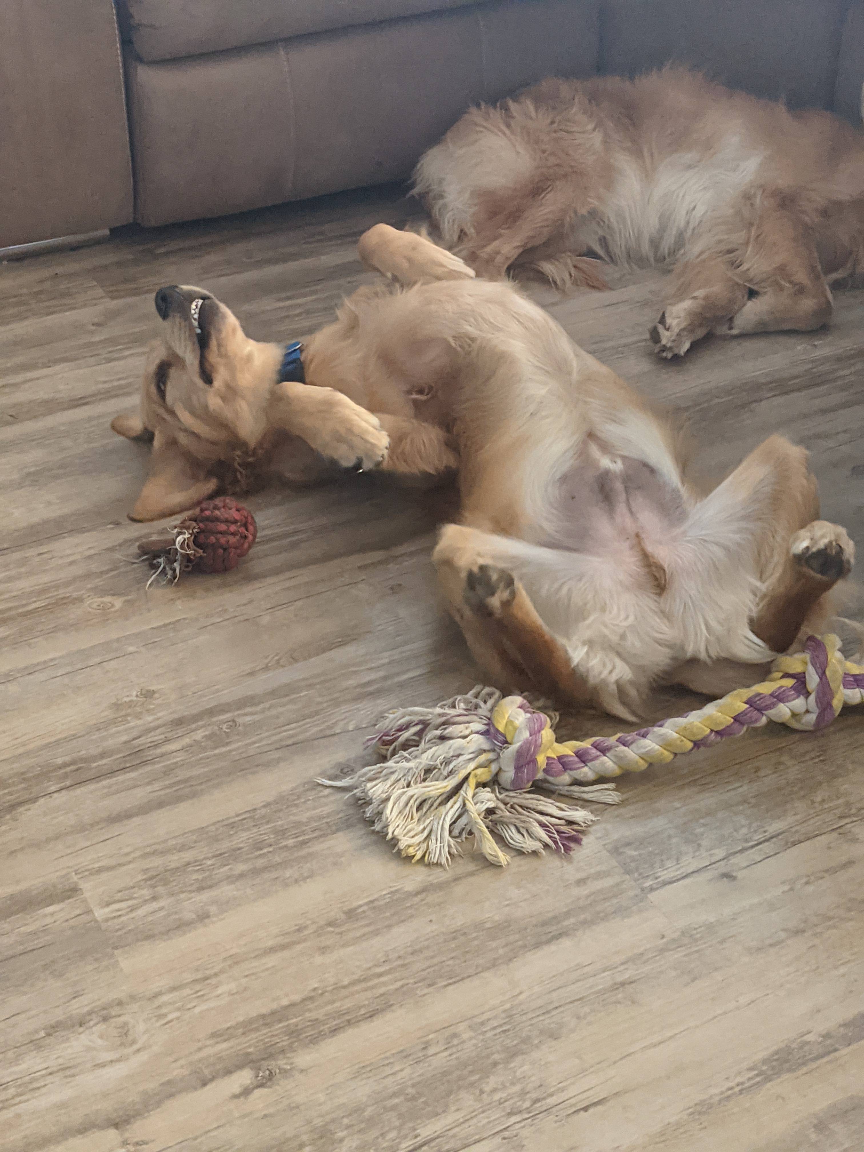 He looks like he's in a derpy paradise | Scrolller