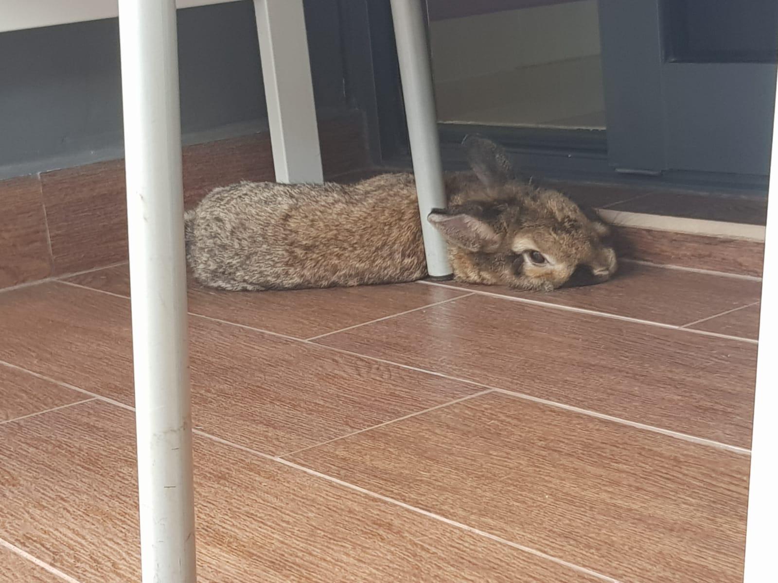 He looks so elongated 😂 | Scrolller