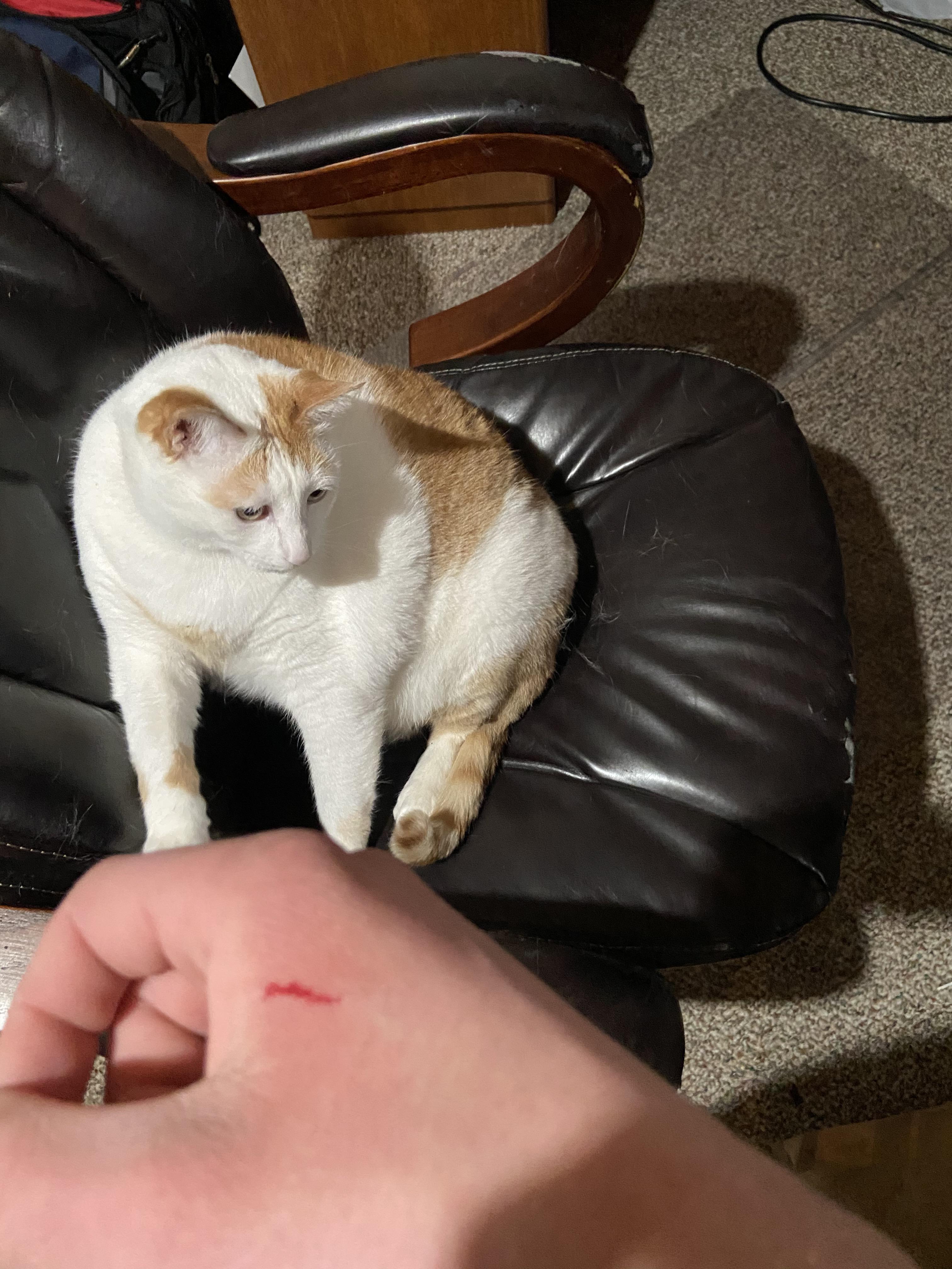 He officially tasted human blood | Scrolller He officially tasted human blood | Scrolller