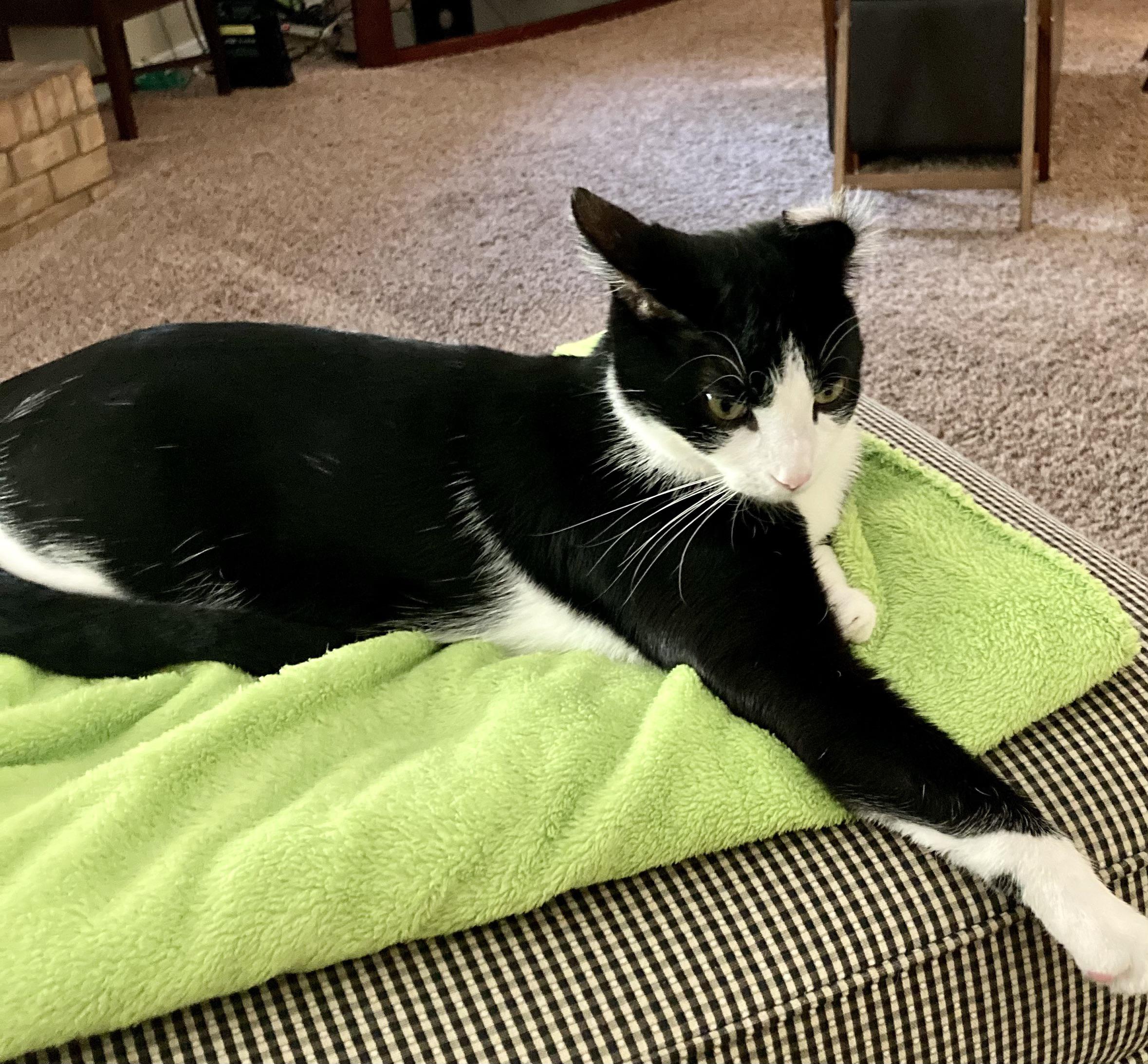 He realized his ear is flipped inside out. | Scrolller