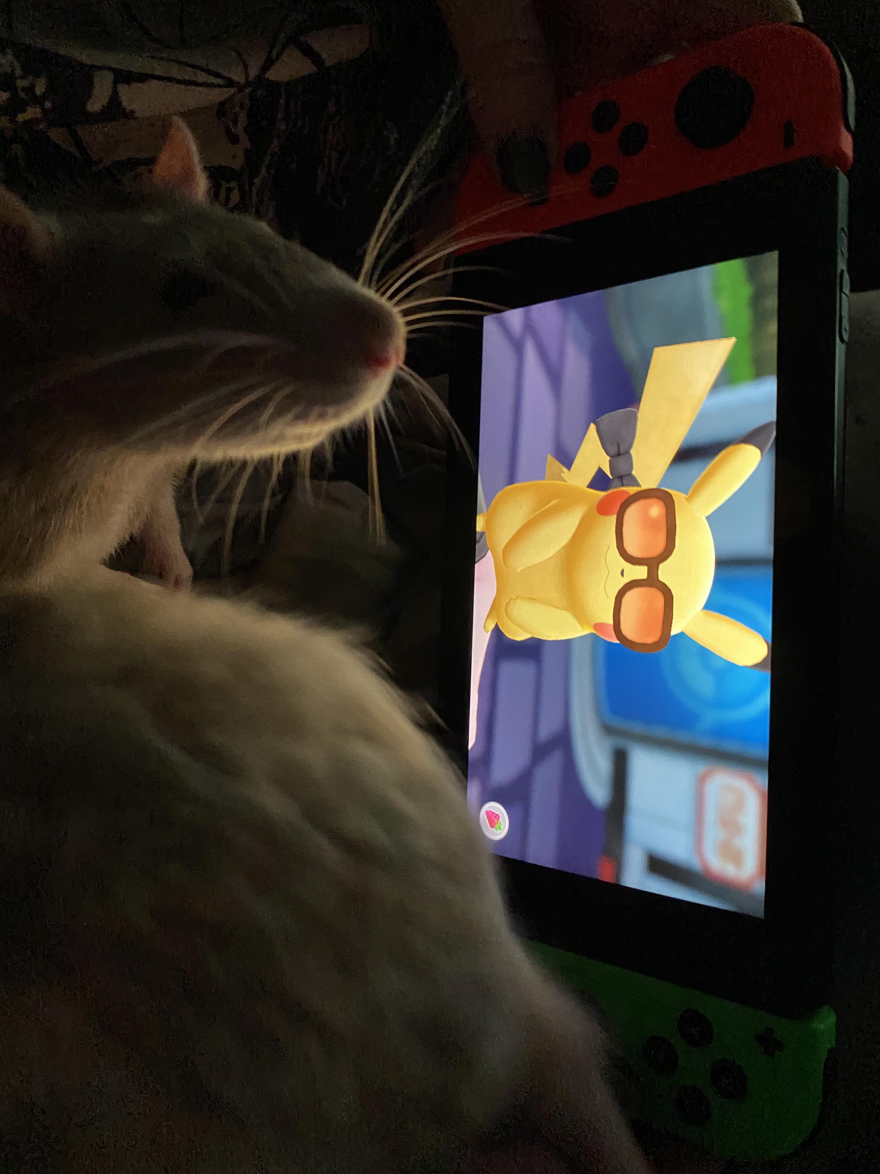 He’s a big fan! | Scrolller