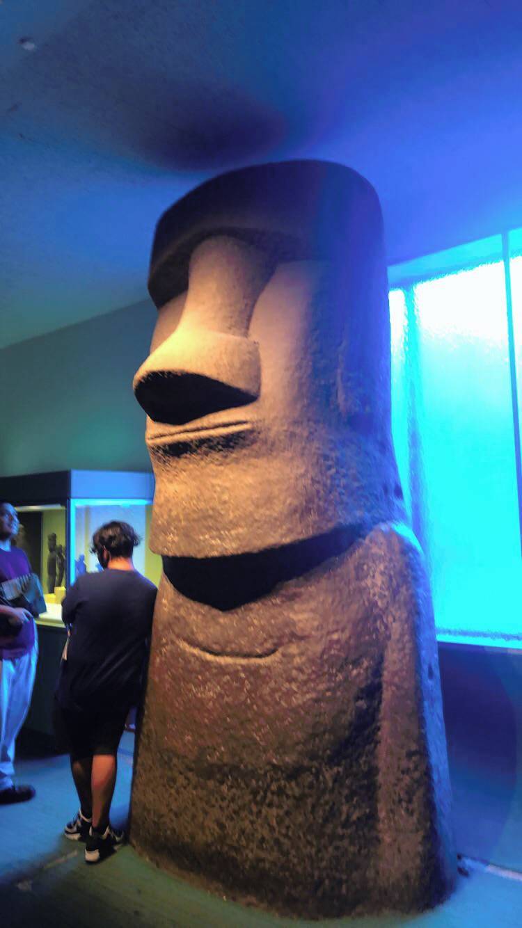 He’s in New York 🗿 | Scrolller