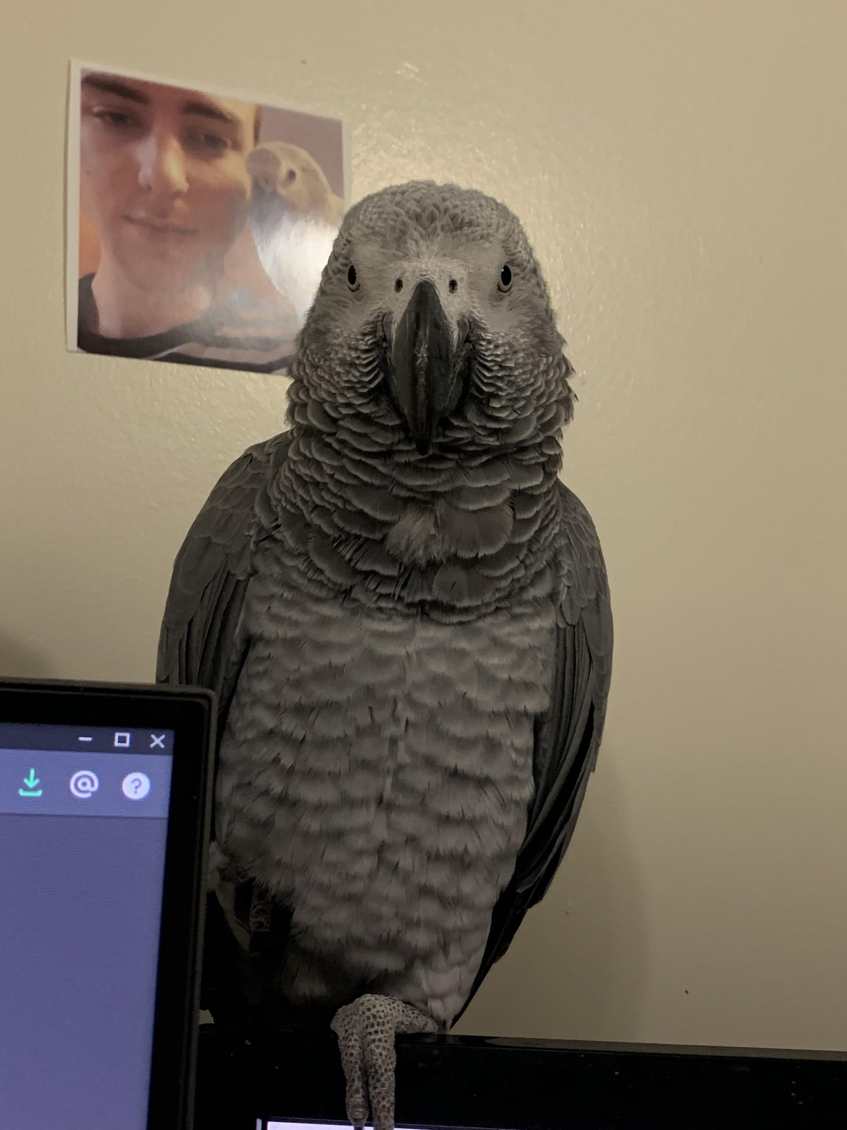 He’s so handsome! | Scrolller