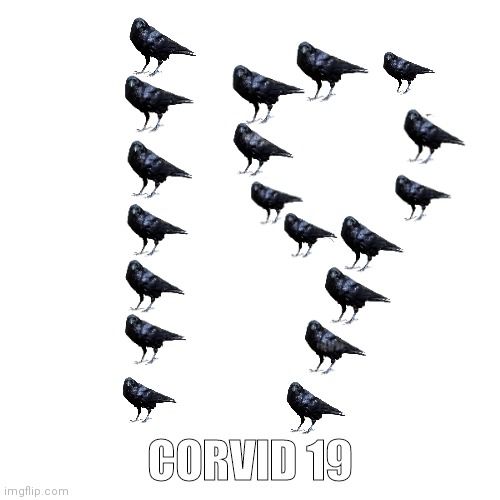 heehoo crow meme go brrrrr | Scrolller