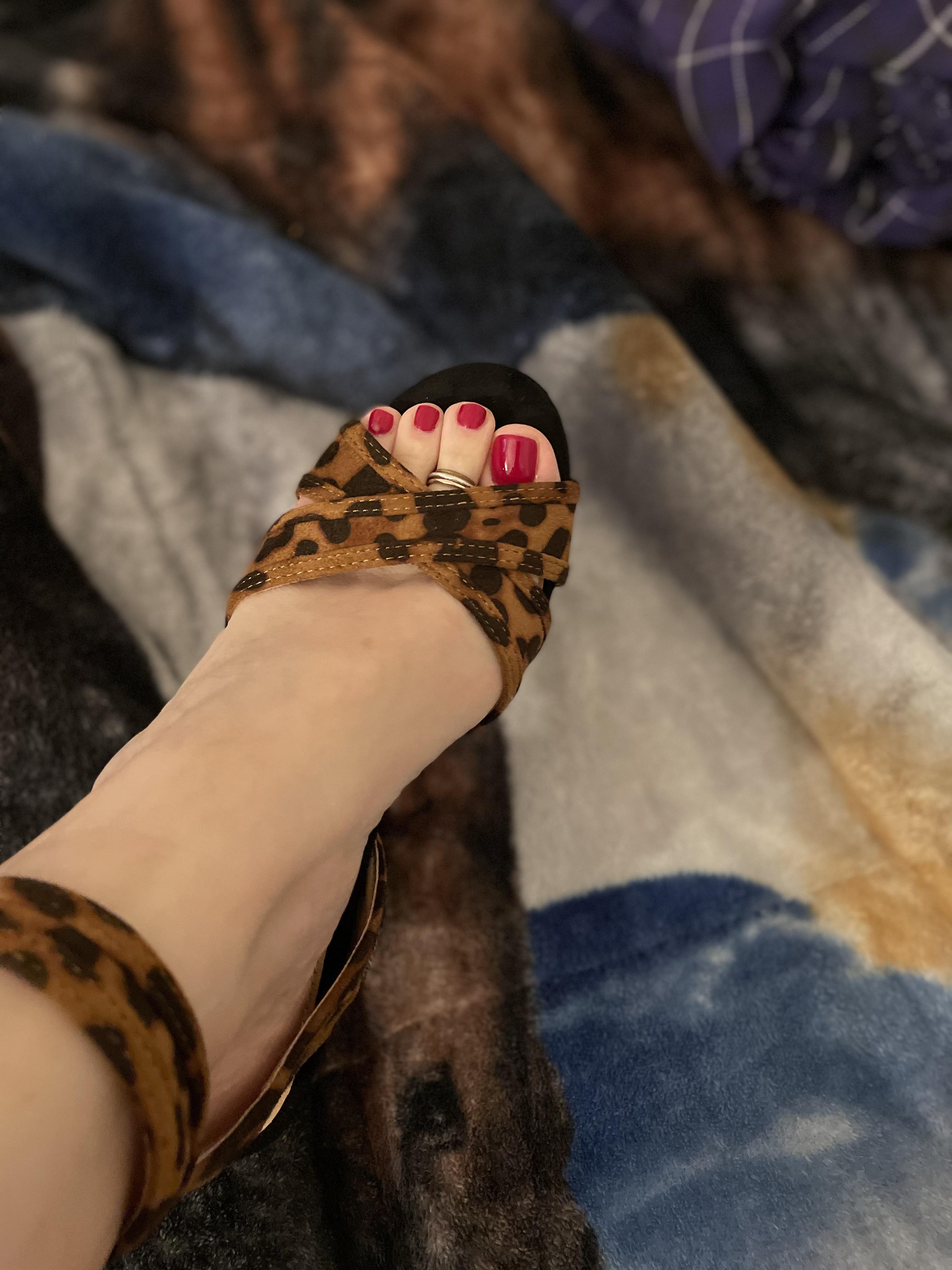 Heels 👠 | Scrolller