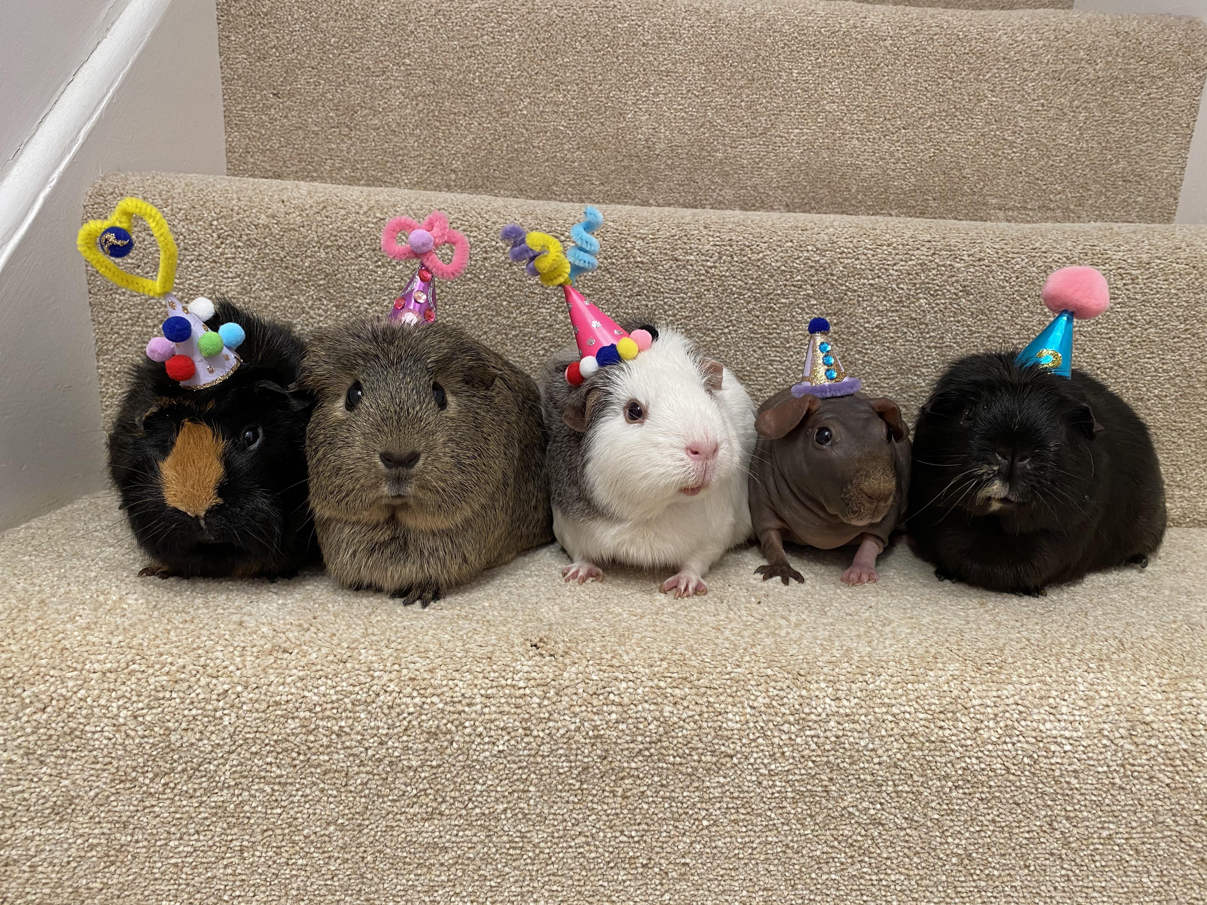 Hello everybody, meet my babies 🥰 | Scrolller