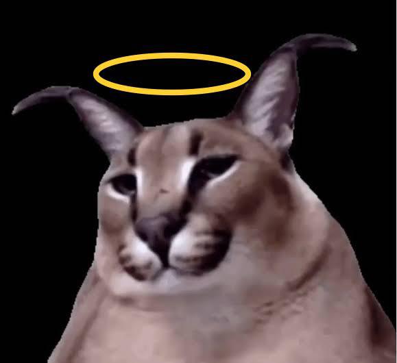 Hello! It’s floppa friday! | Scrolller