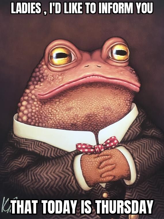 Hello , Mr Toad | Scrolller