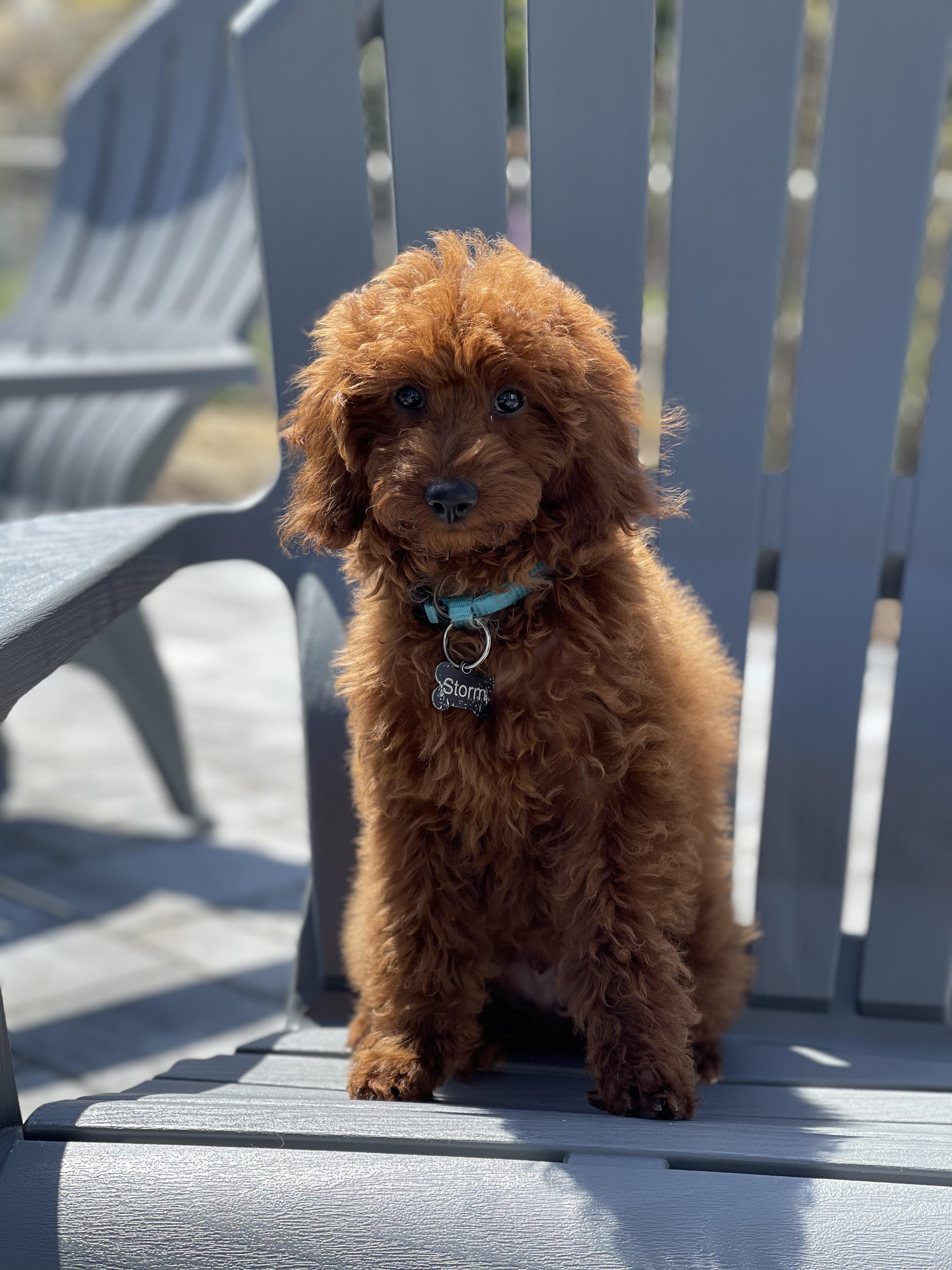 Hello Reddit! My name is Storm and I create a storm in the lives of everyone around with my ...