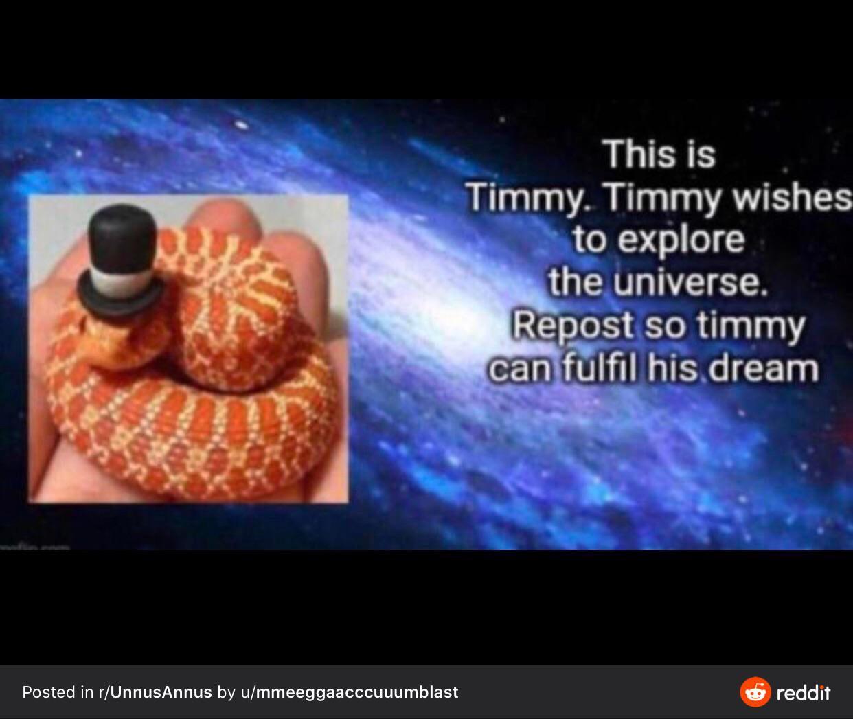 Help him | Scrolller