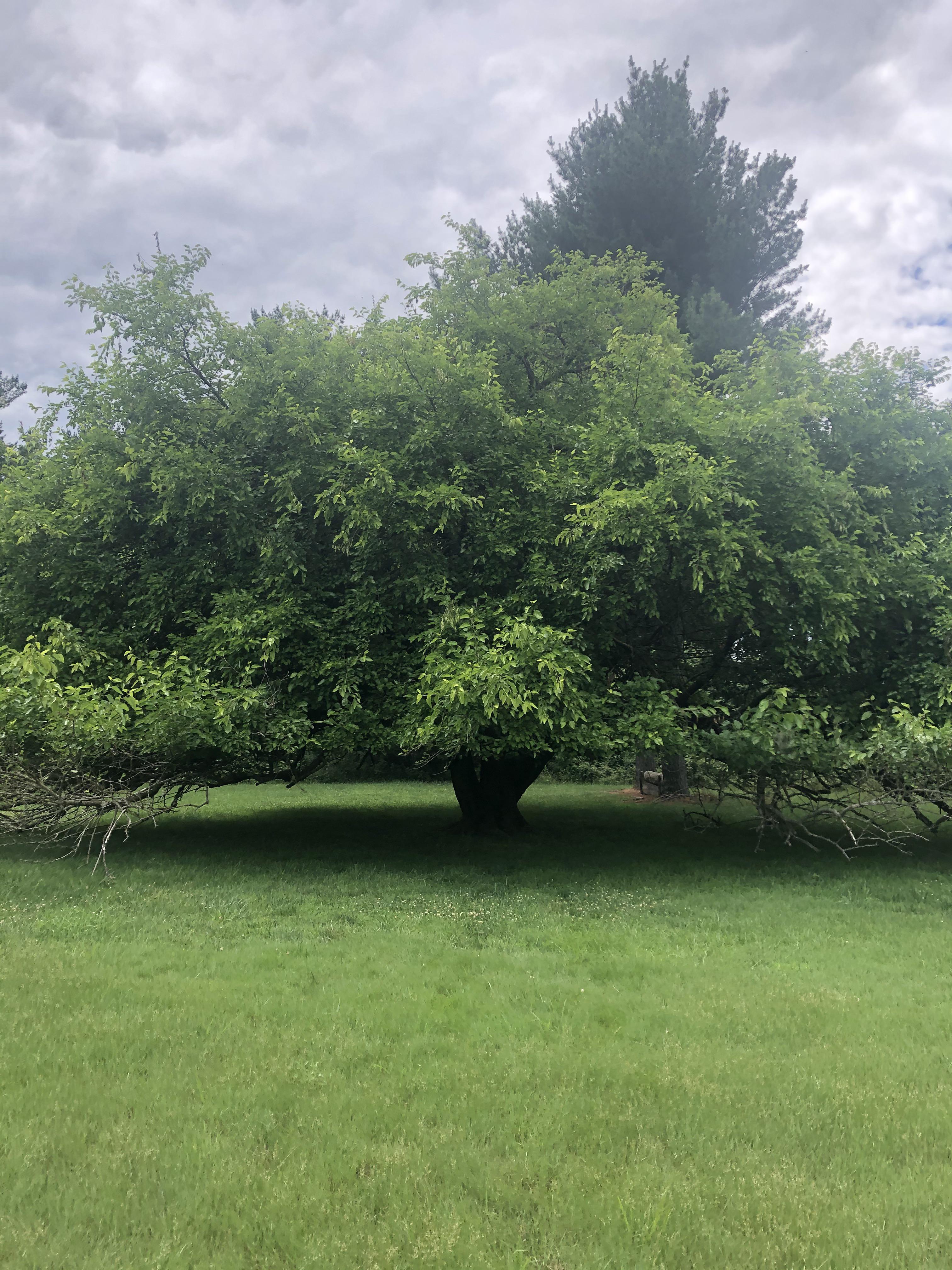 Help identify please | Scrolller