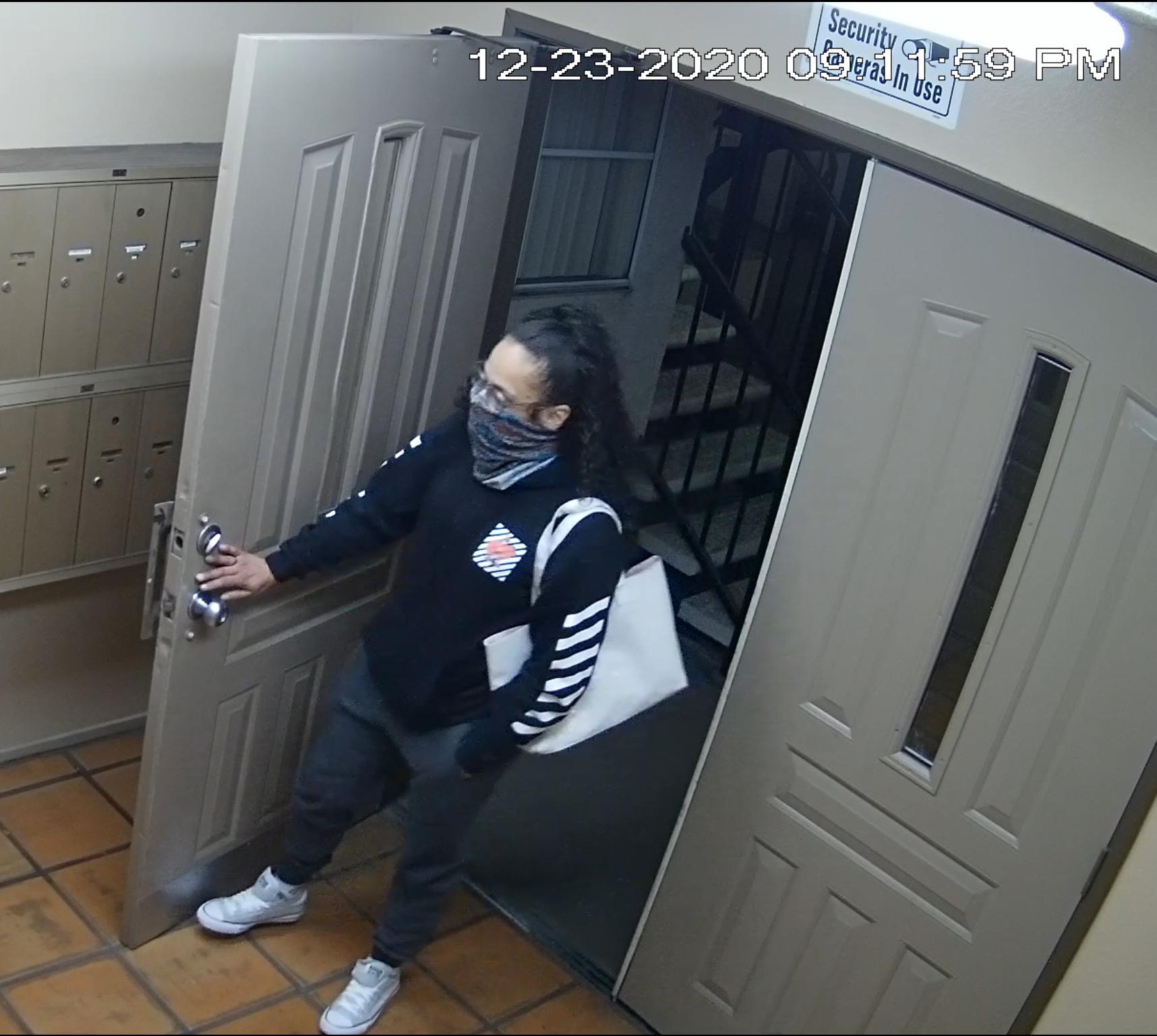 Help identifying a package thief | Scrolller