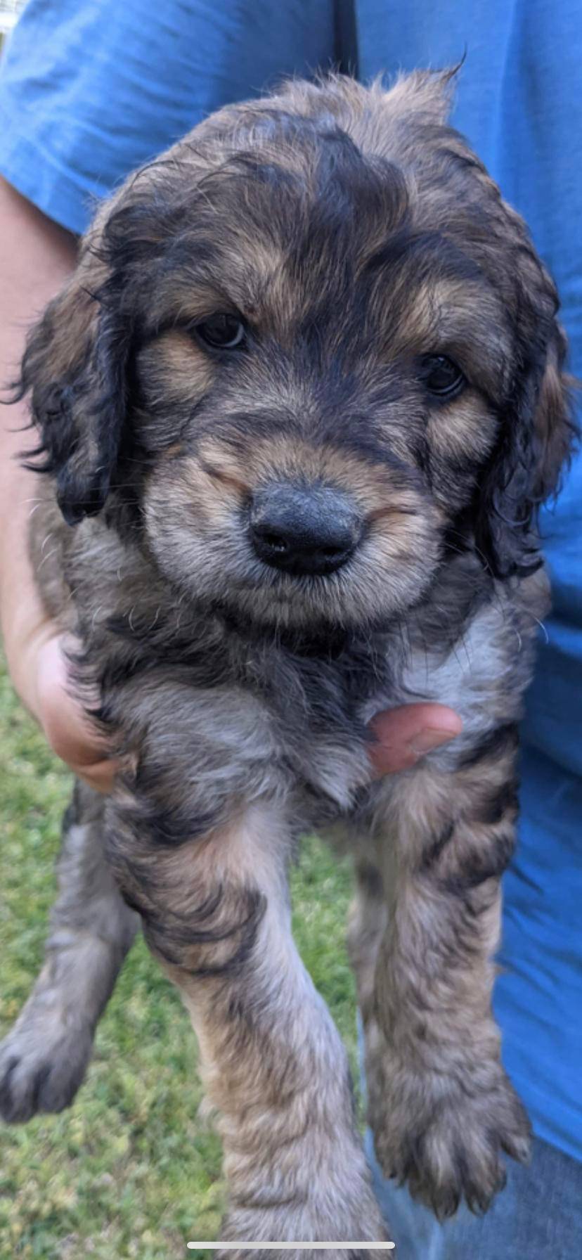Help me name my new dood! | Scrolller Help me name my new dood! | Scrolller