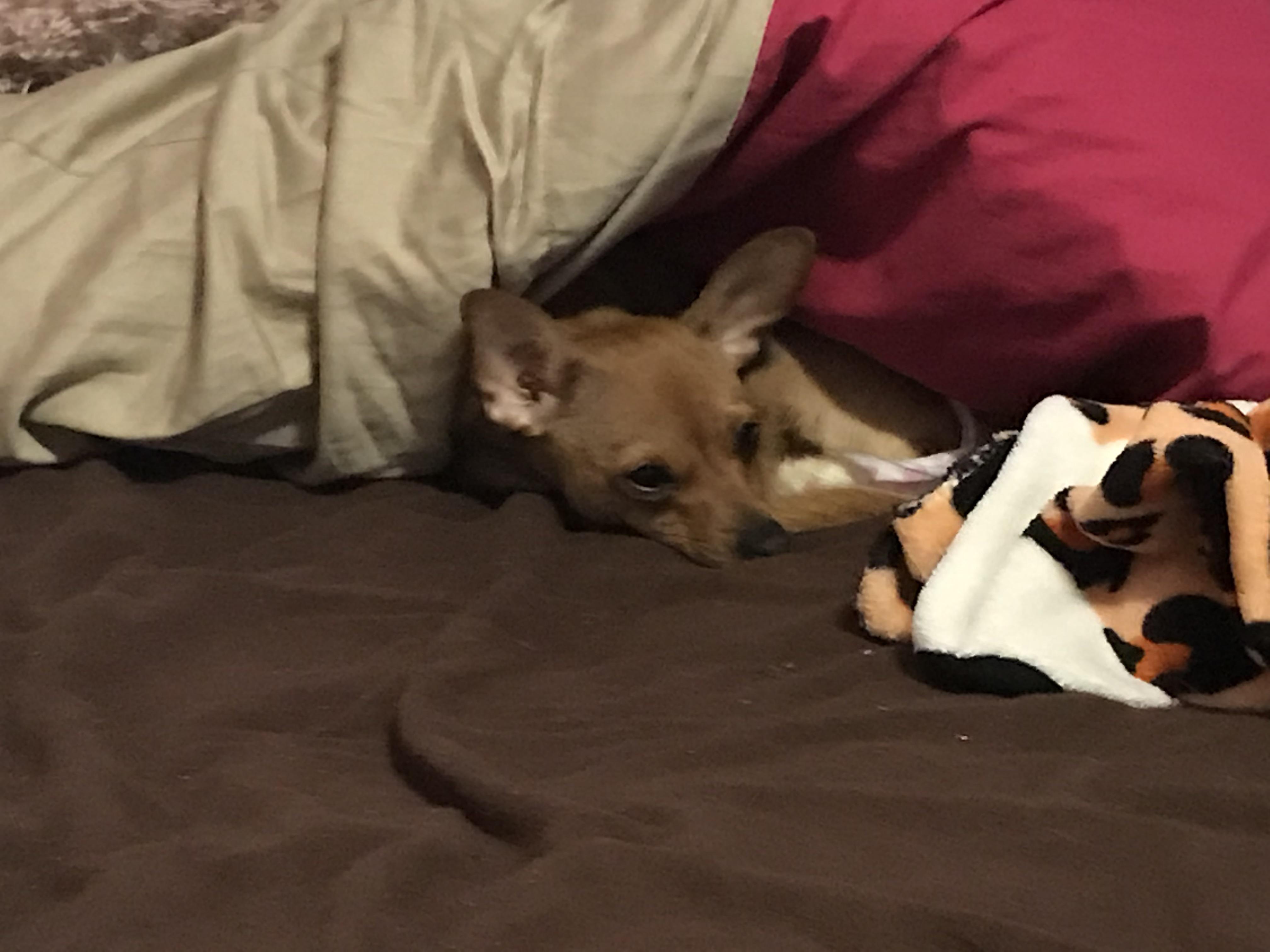 Her hidey hole | Scrolller