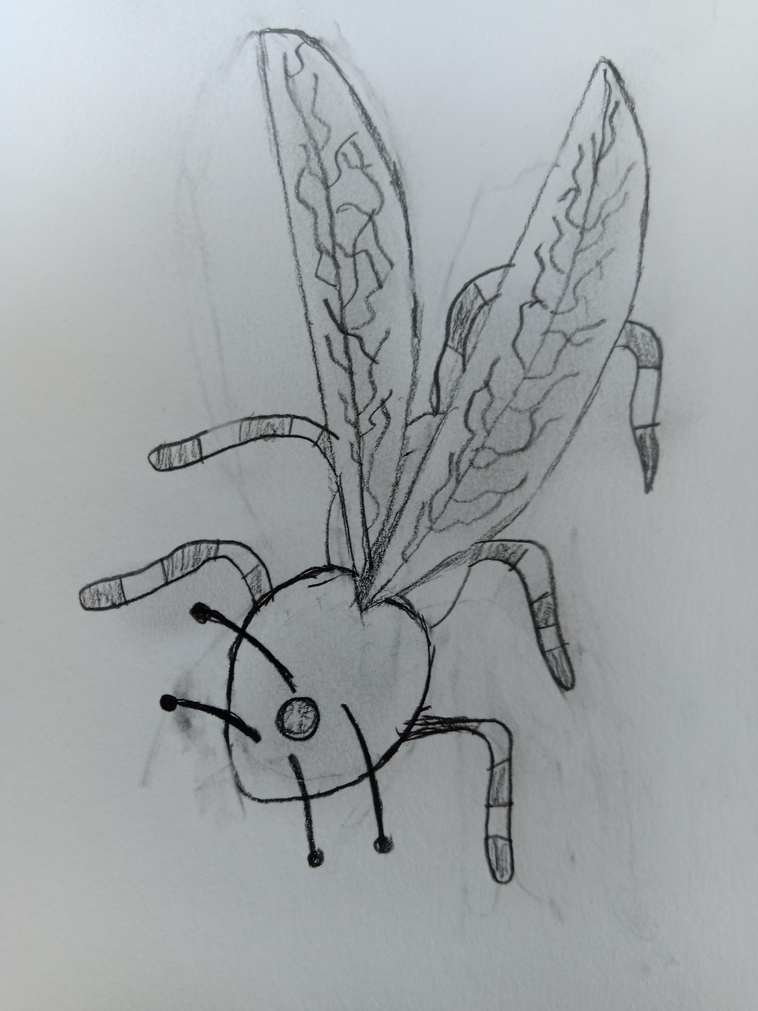Here, enjoy this drawing of a flying alien insect creature | Scrolller