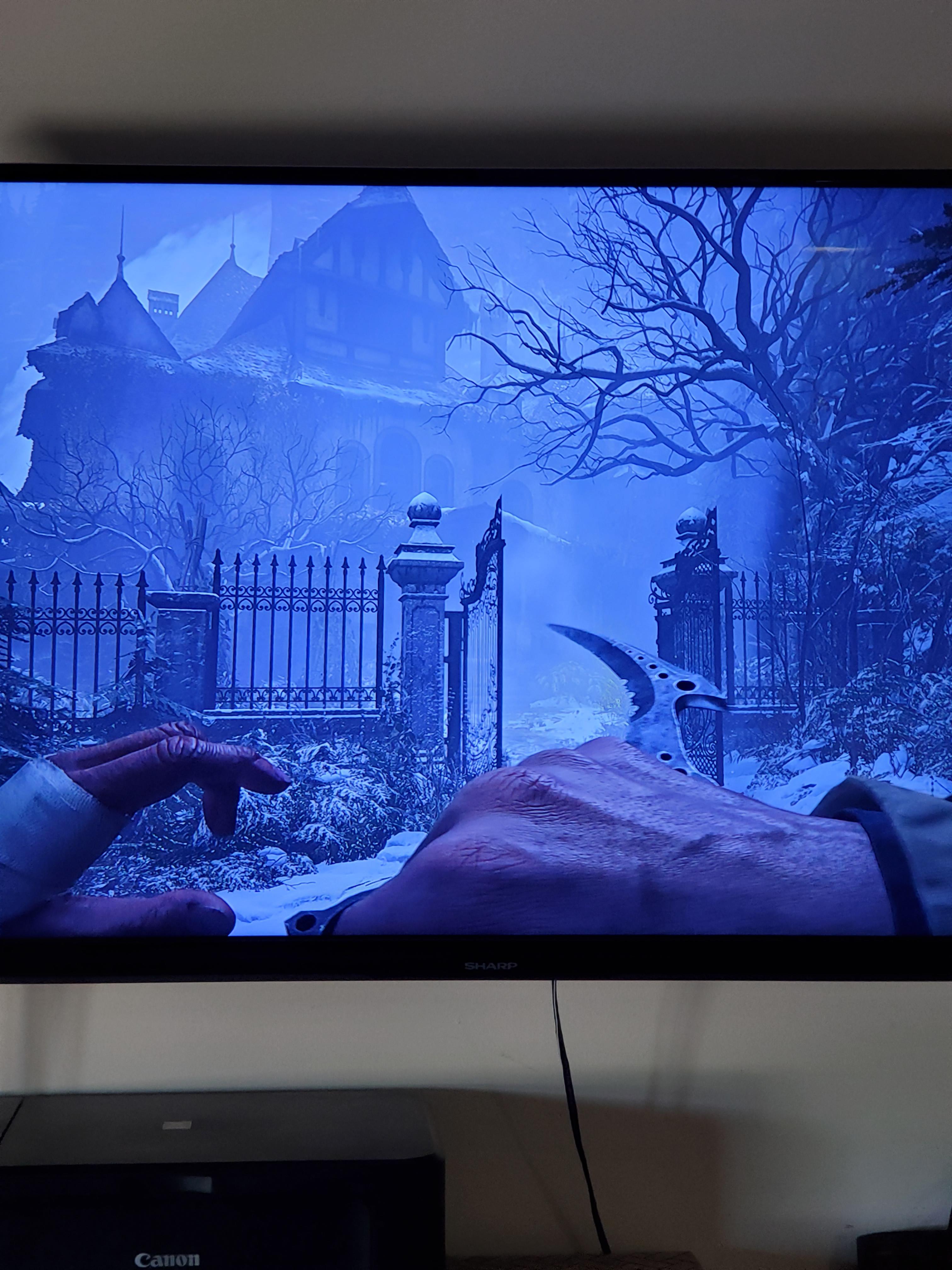 Here we are again. DADA? | Scrolller