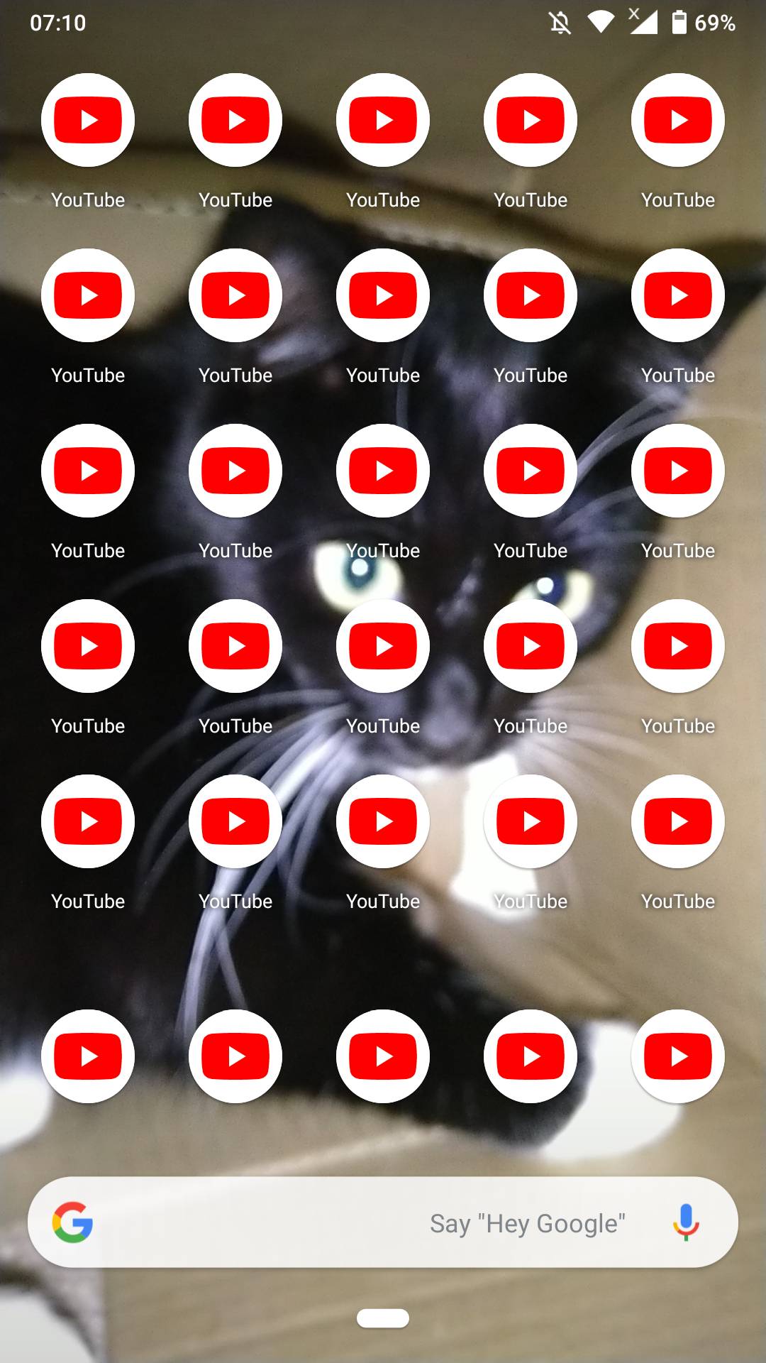 Here's your weekly 69% | Scrolller