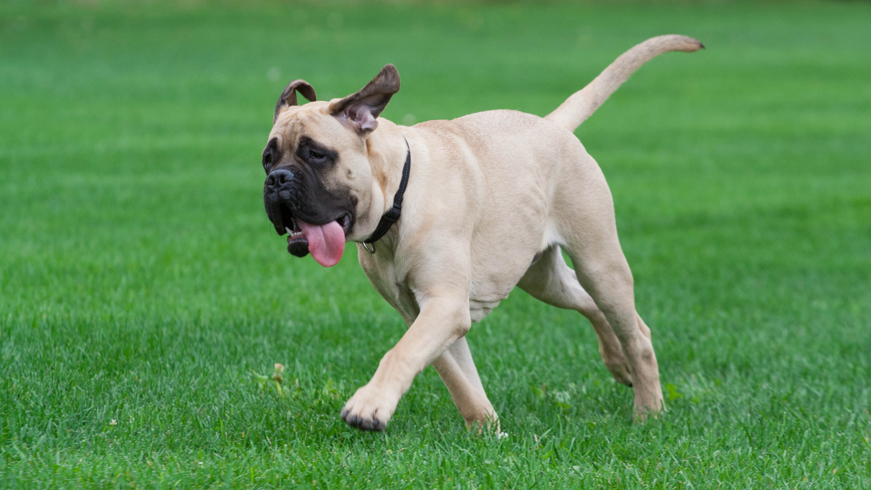 He's got a floppy face ~6 months | Scrolller