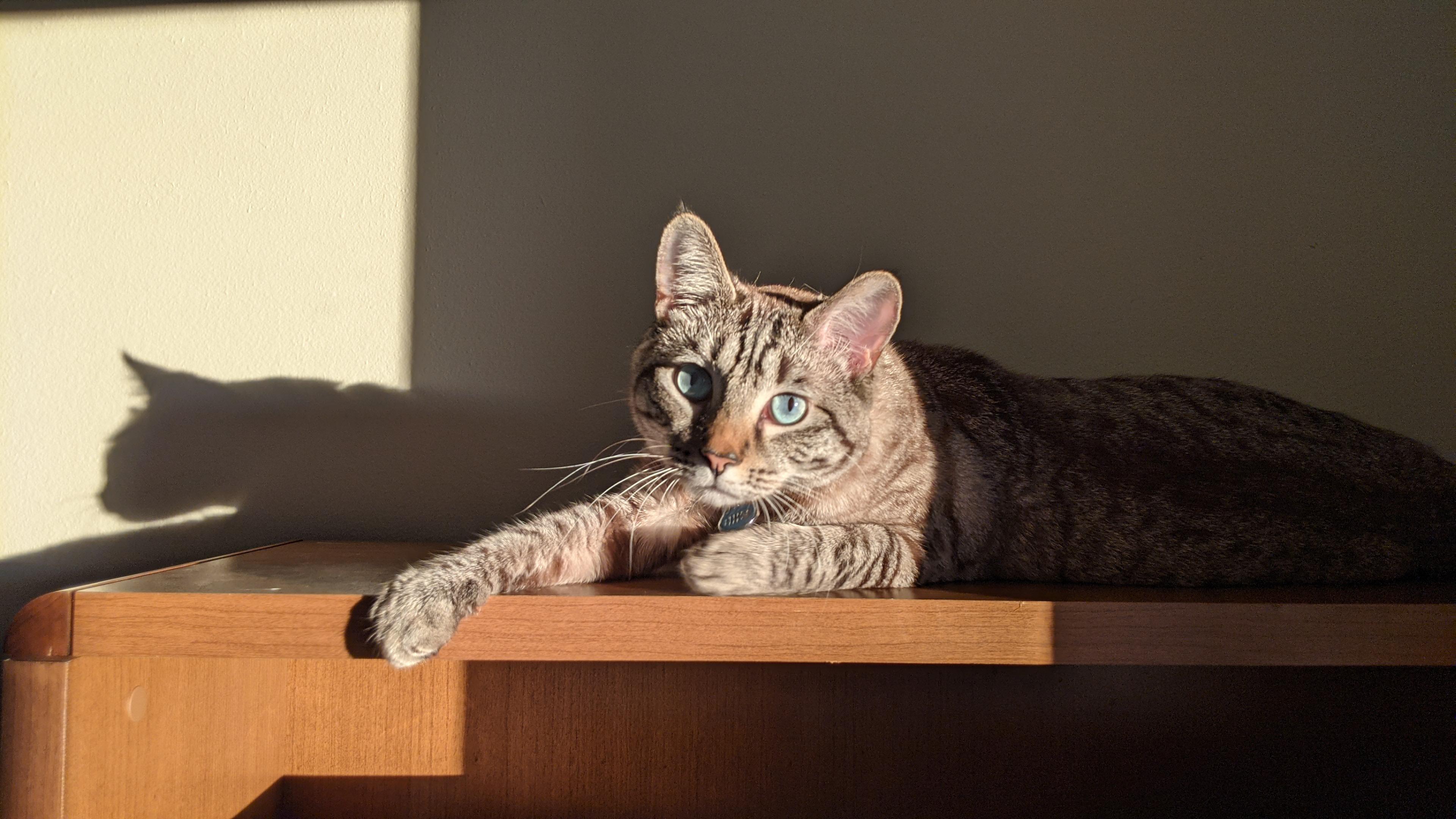 He's just so handsome | Scrolller