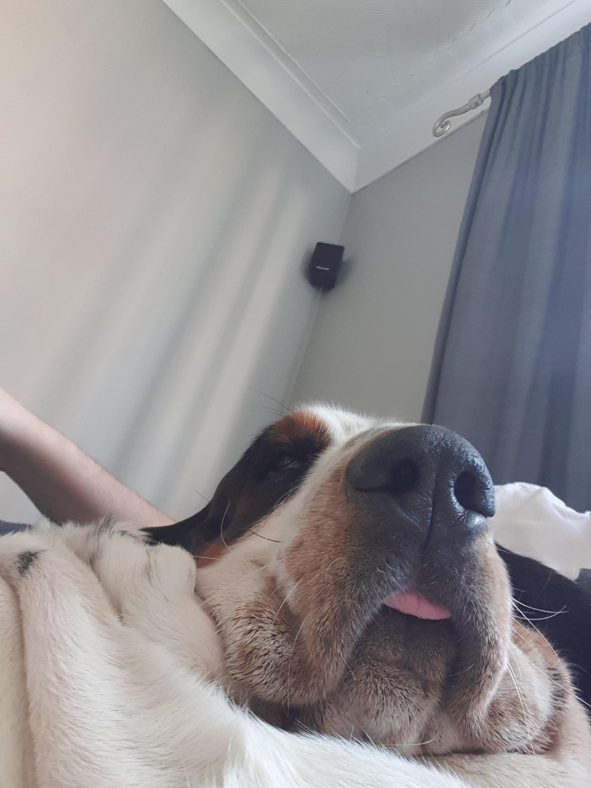 hes so...photogenic 😬 | Scrolller