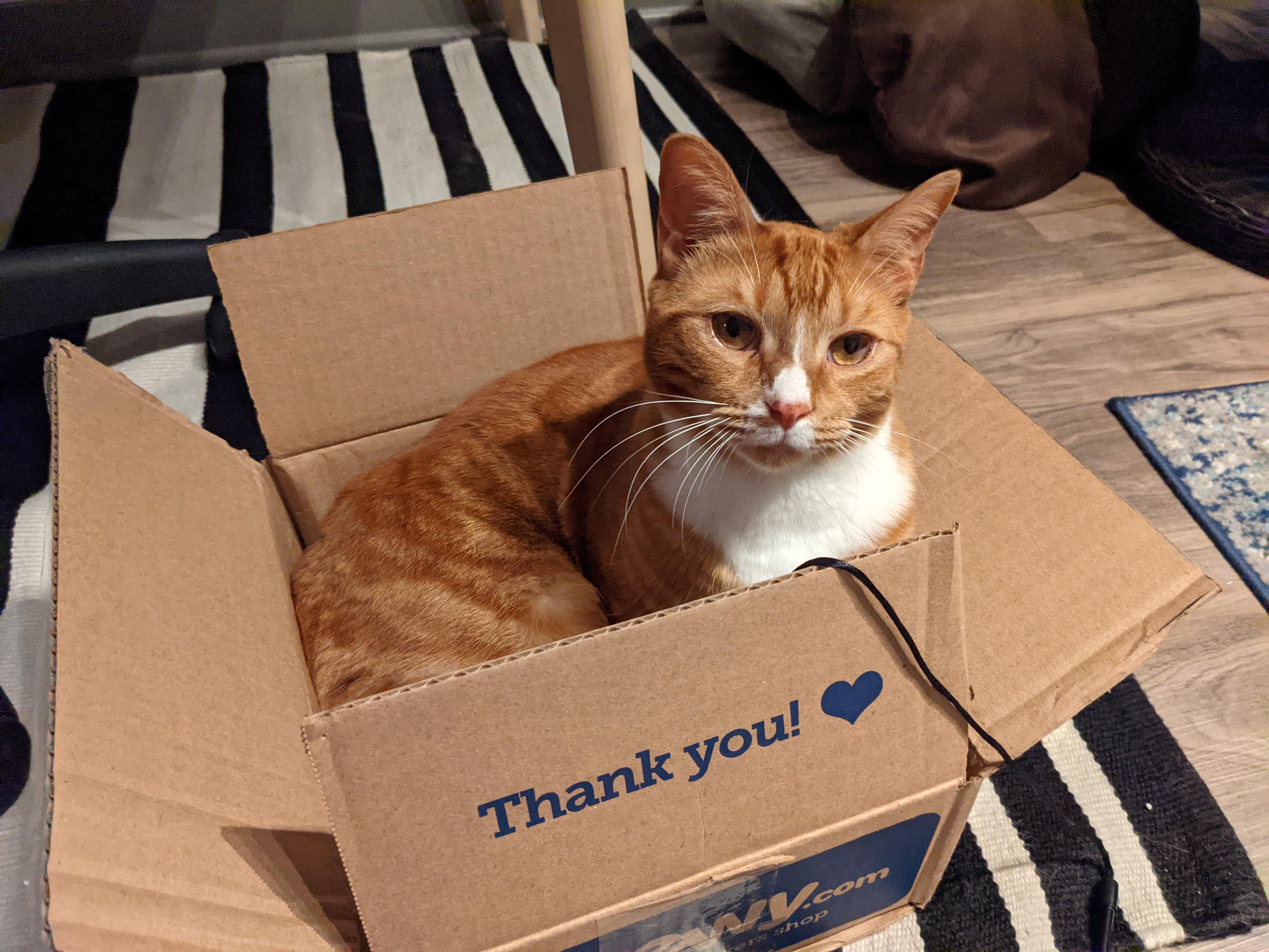 He's such a polite gentleman | Scrolller