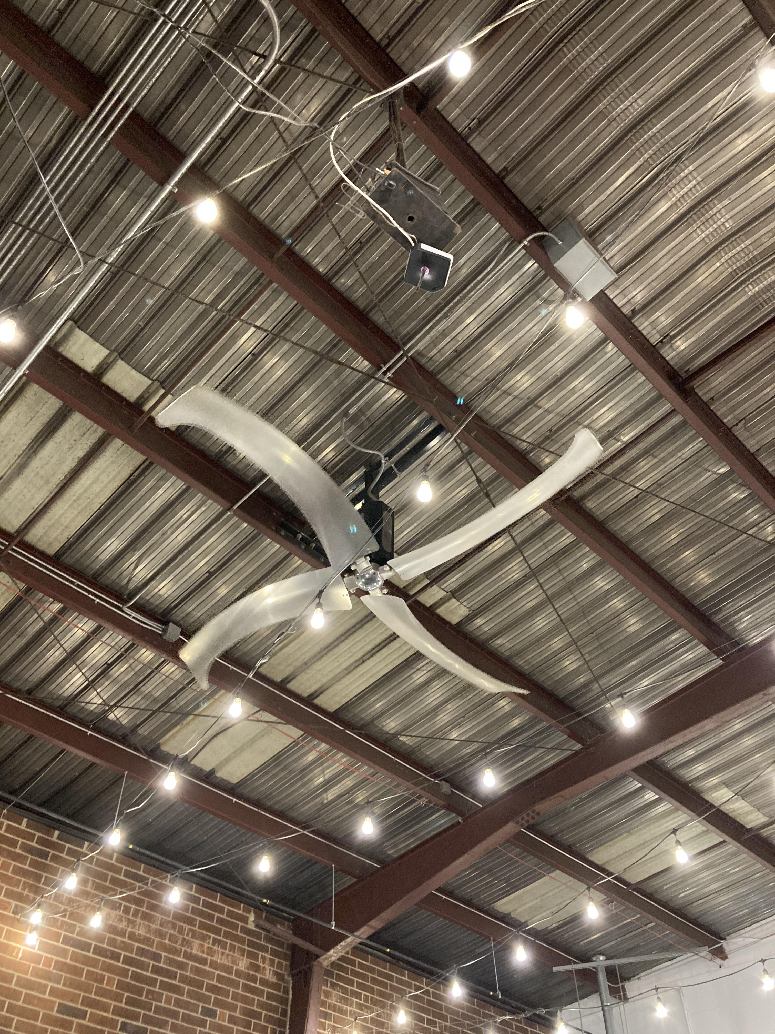 Hey, how’s it hangin’? | Scrolller