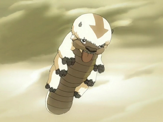 Hey you, you've done enough scrolling. Here's a baby Appa to calm your spirits | Scrolller