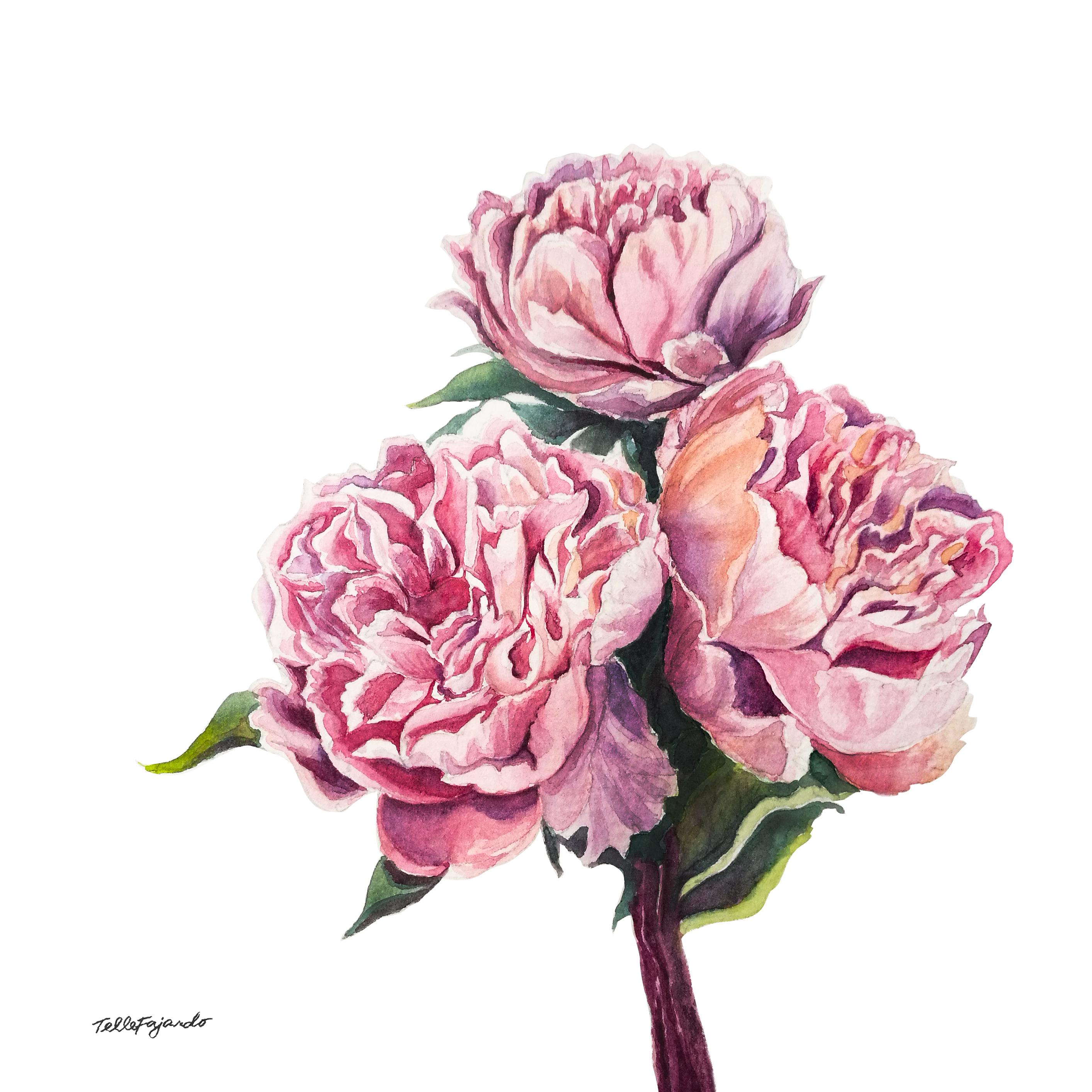 Hi! Sharing my work, Peonies in Watercolor 🌸 | Scrolller