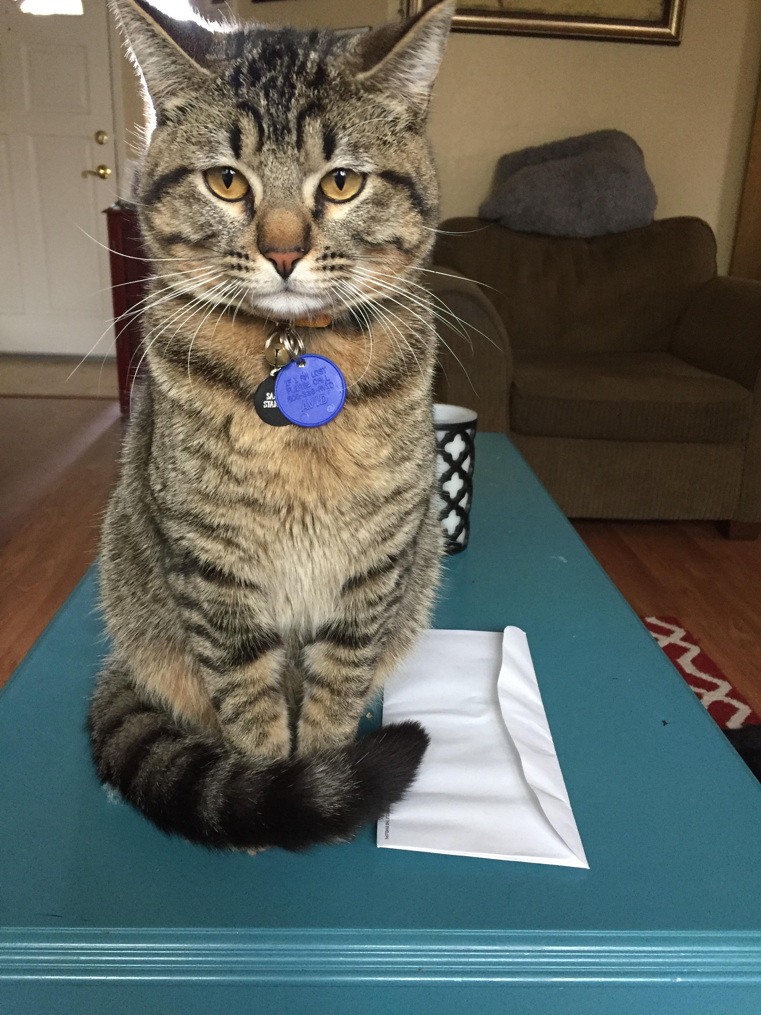 Hidden feetsies | Scrolller