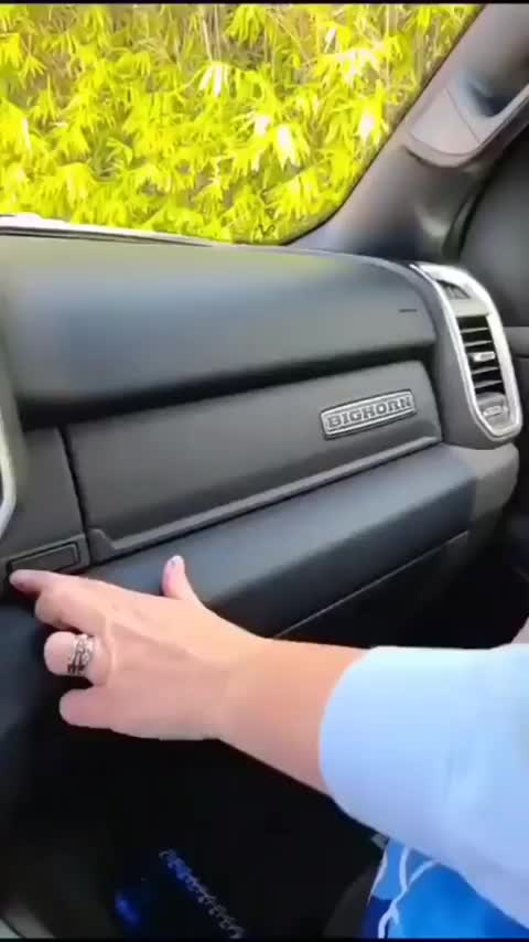 Hide and seek | Scrolller