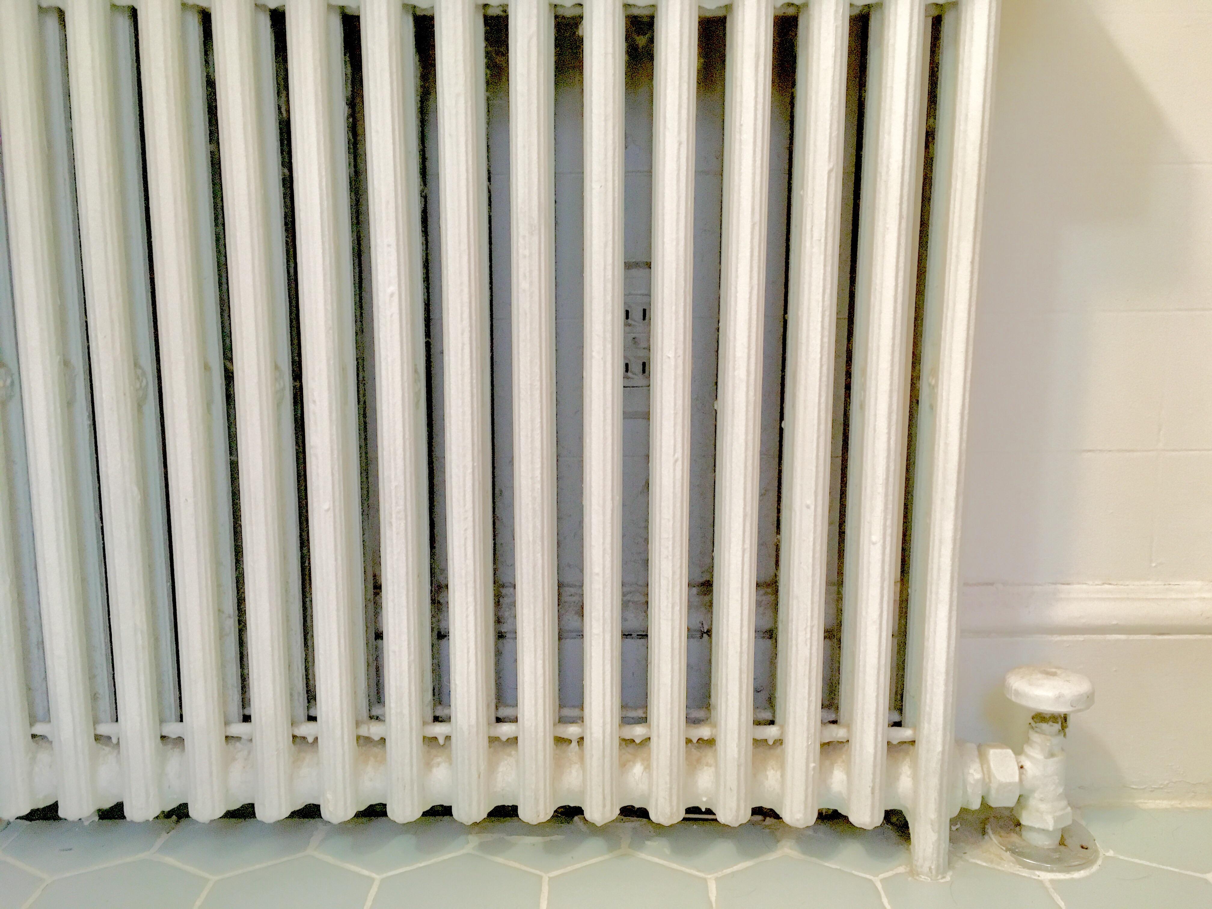 Hiding behind my radiator | Scrolller