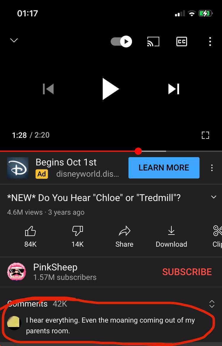 High hearing ears | Scrolller