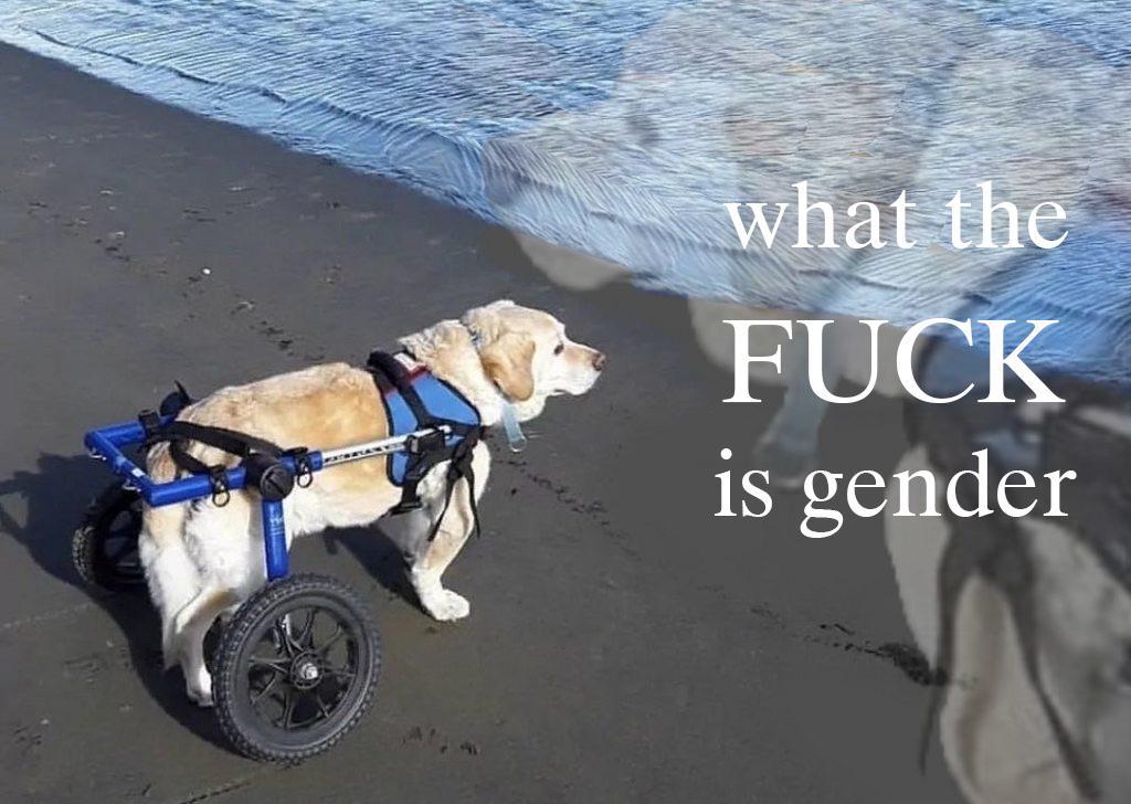 High quality meme (OC) | Scrolller