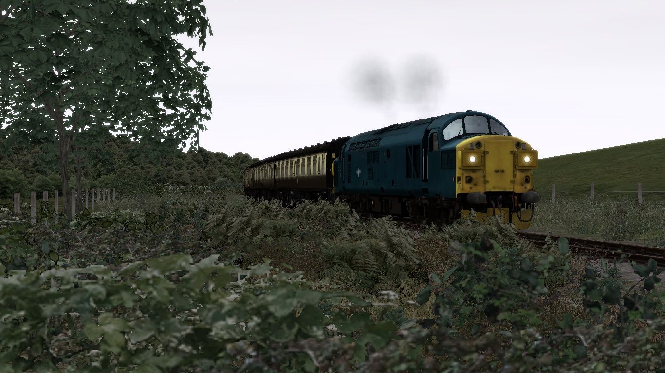 Highlight day 5 | Scrolller