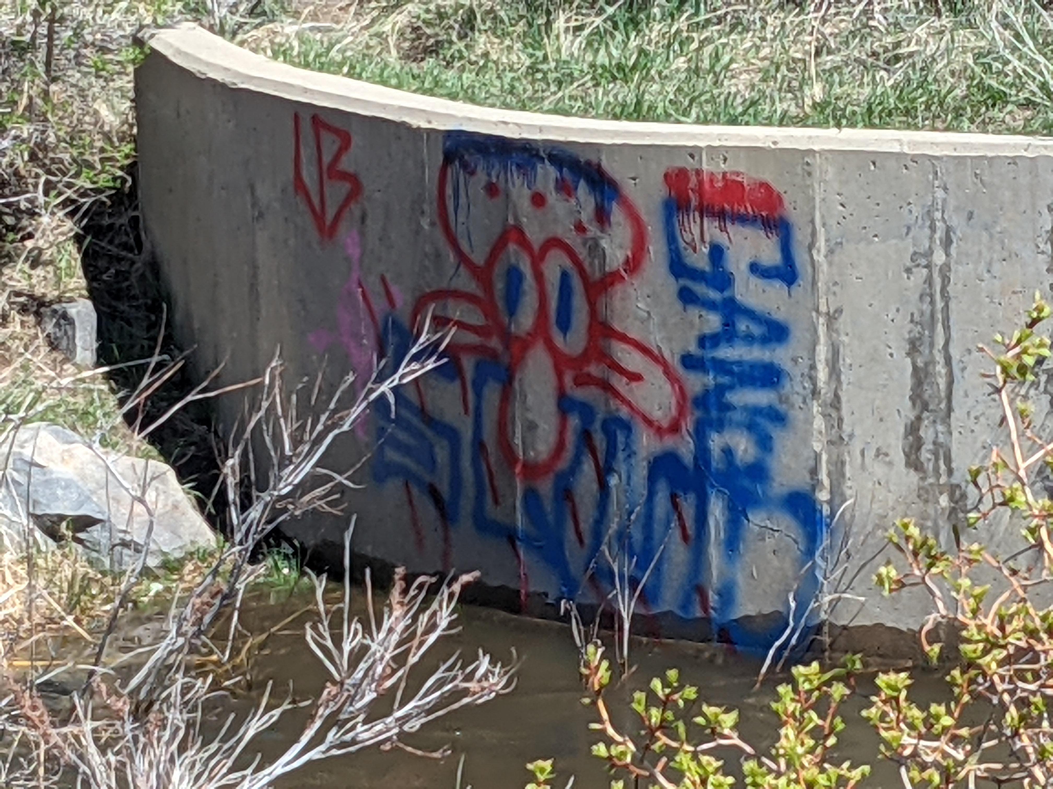 Highlight from today's walk | Scrolller