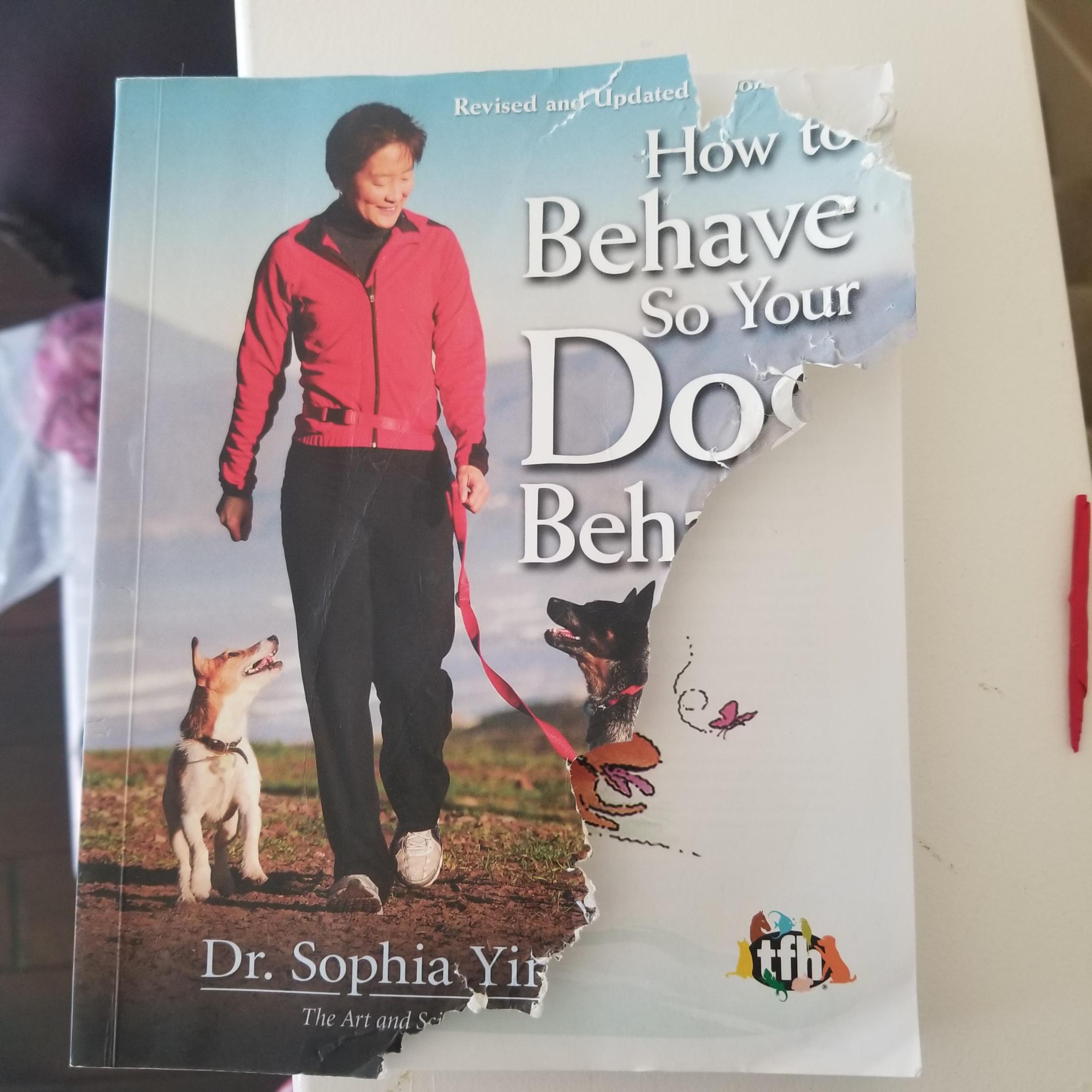 Highly recommended. | Scrolller