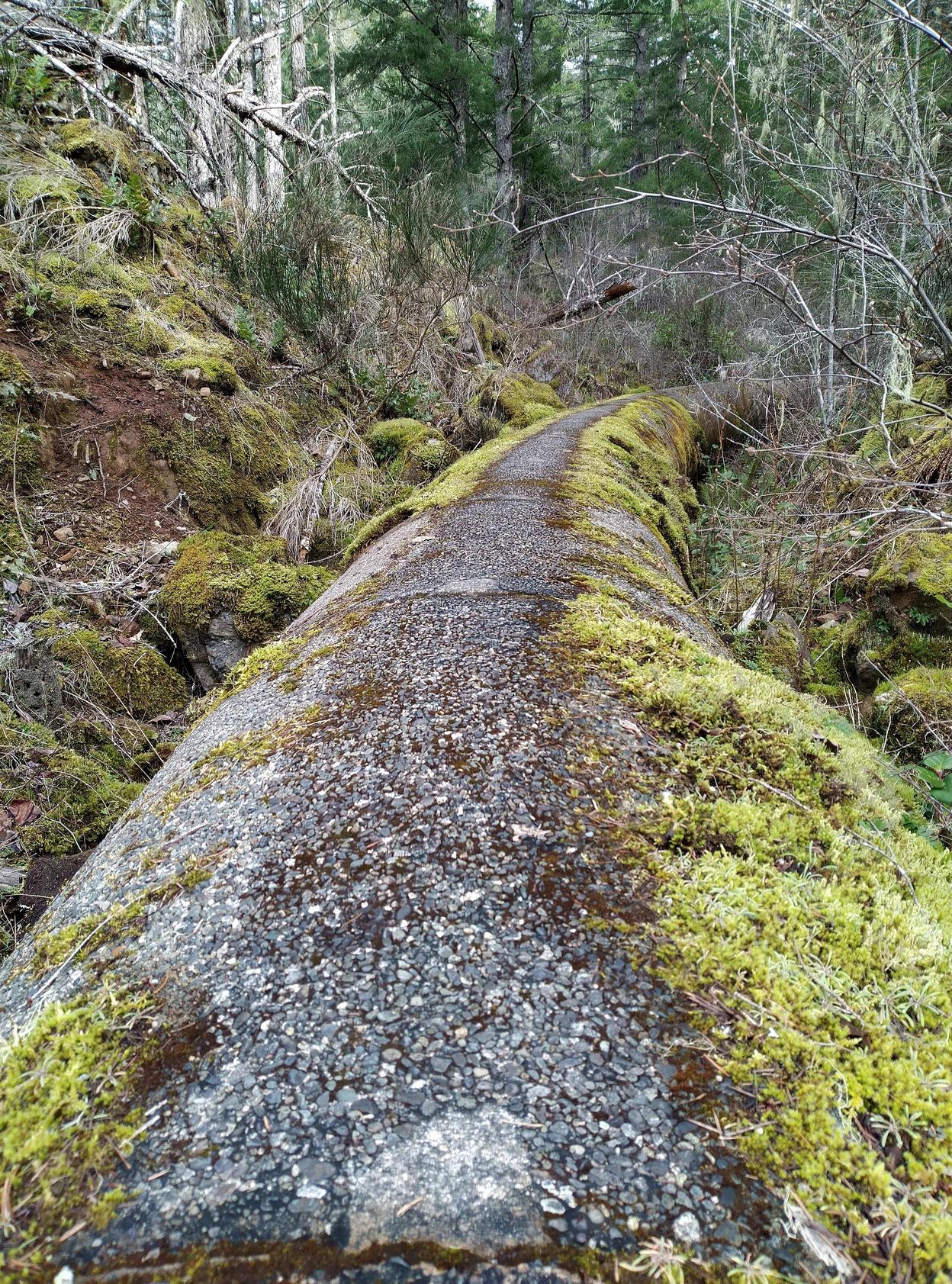 Hiking the pipeline trail above the Sooke Potholes | Scrolller