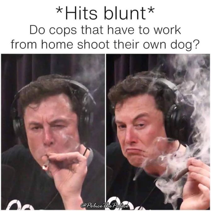 Hits blunt | Scrolller