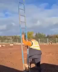 HMB while I climb up this ladder | Scrolller