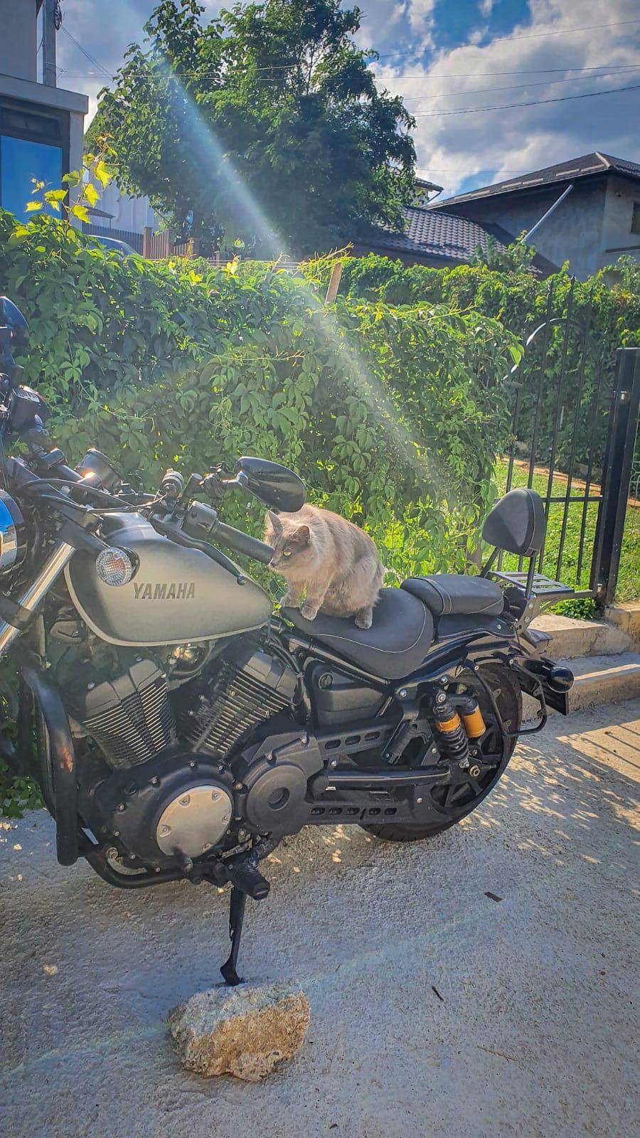 “Hmm interesting bike...” | Scrolller