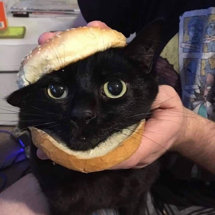 blursed_burger | Scrolller
