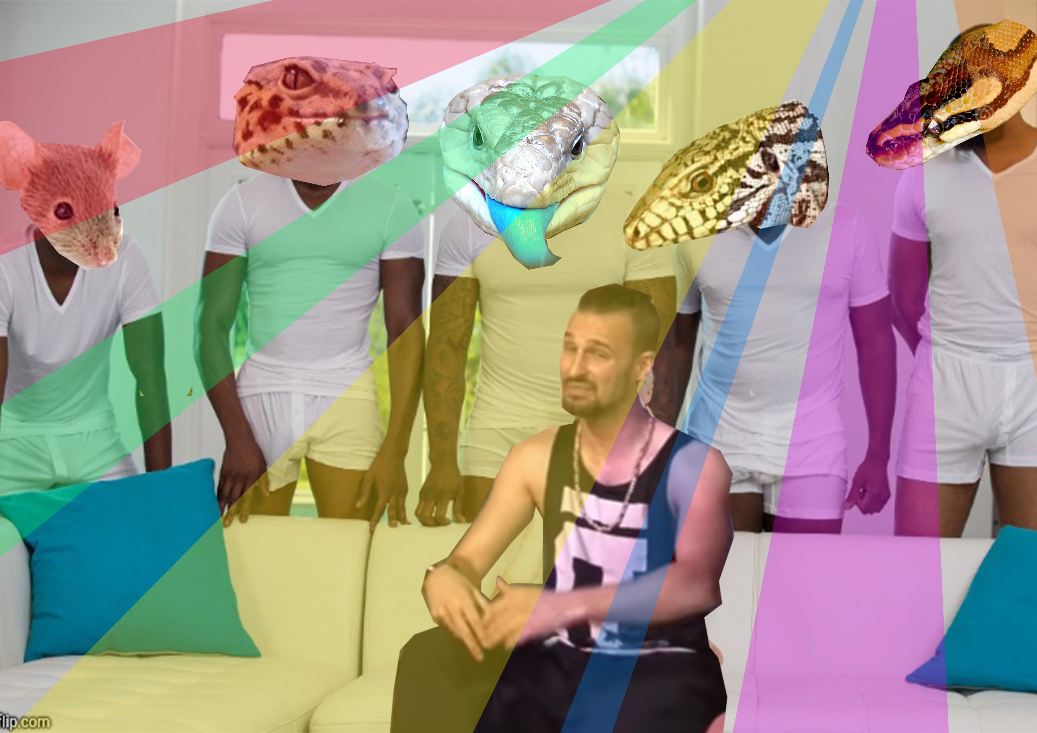 ho visto un porno iniziare così | Scrolller