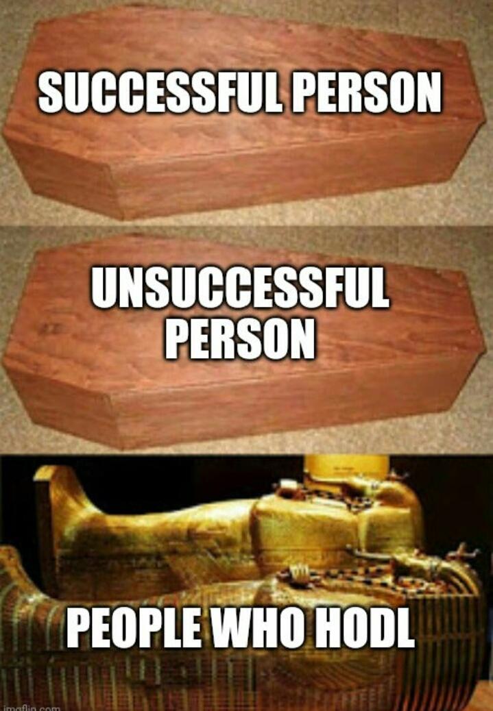 HODL !!! | Scrolller